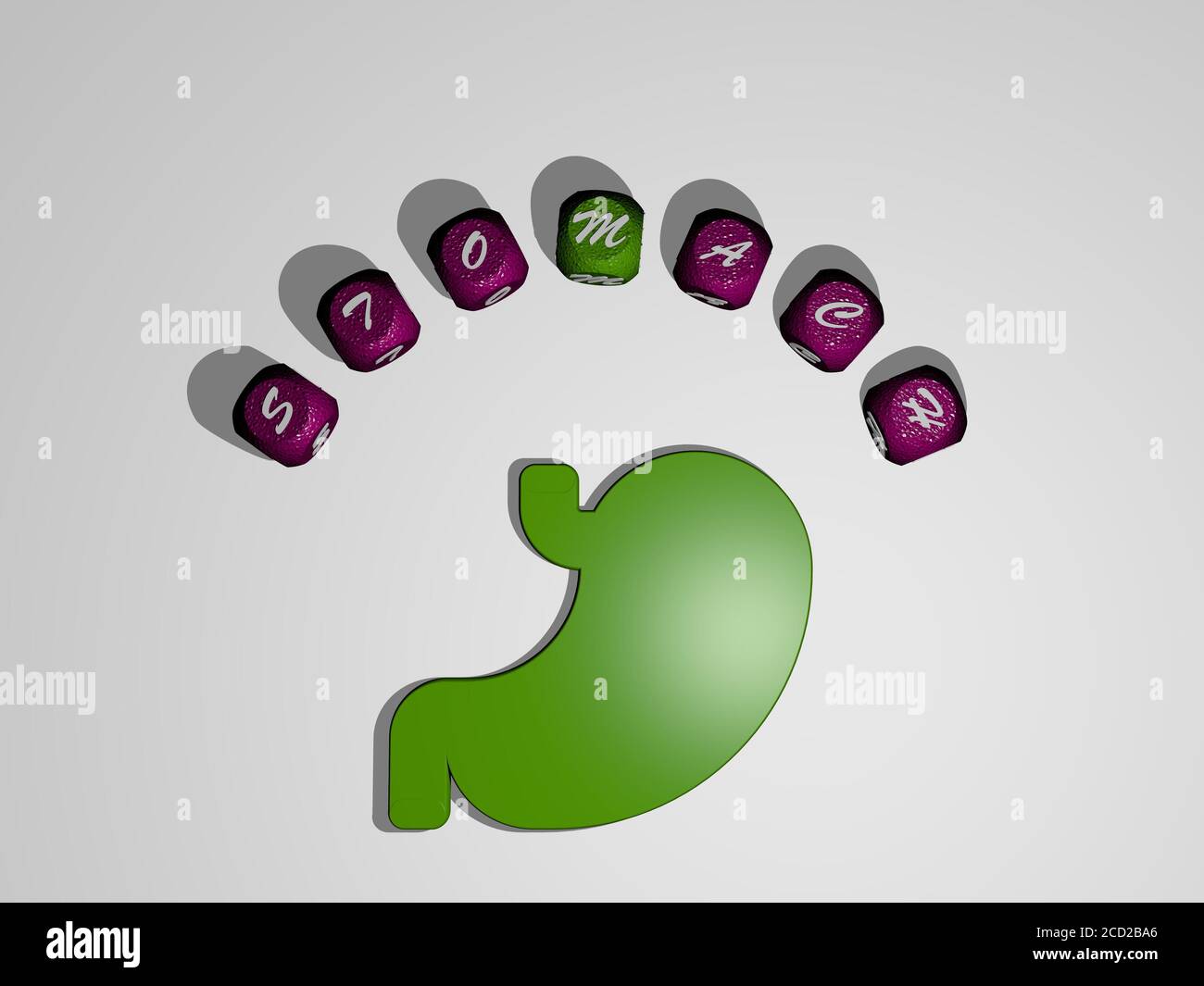 STOMACH icon surrounded by the text of individual letters, 3D ...