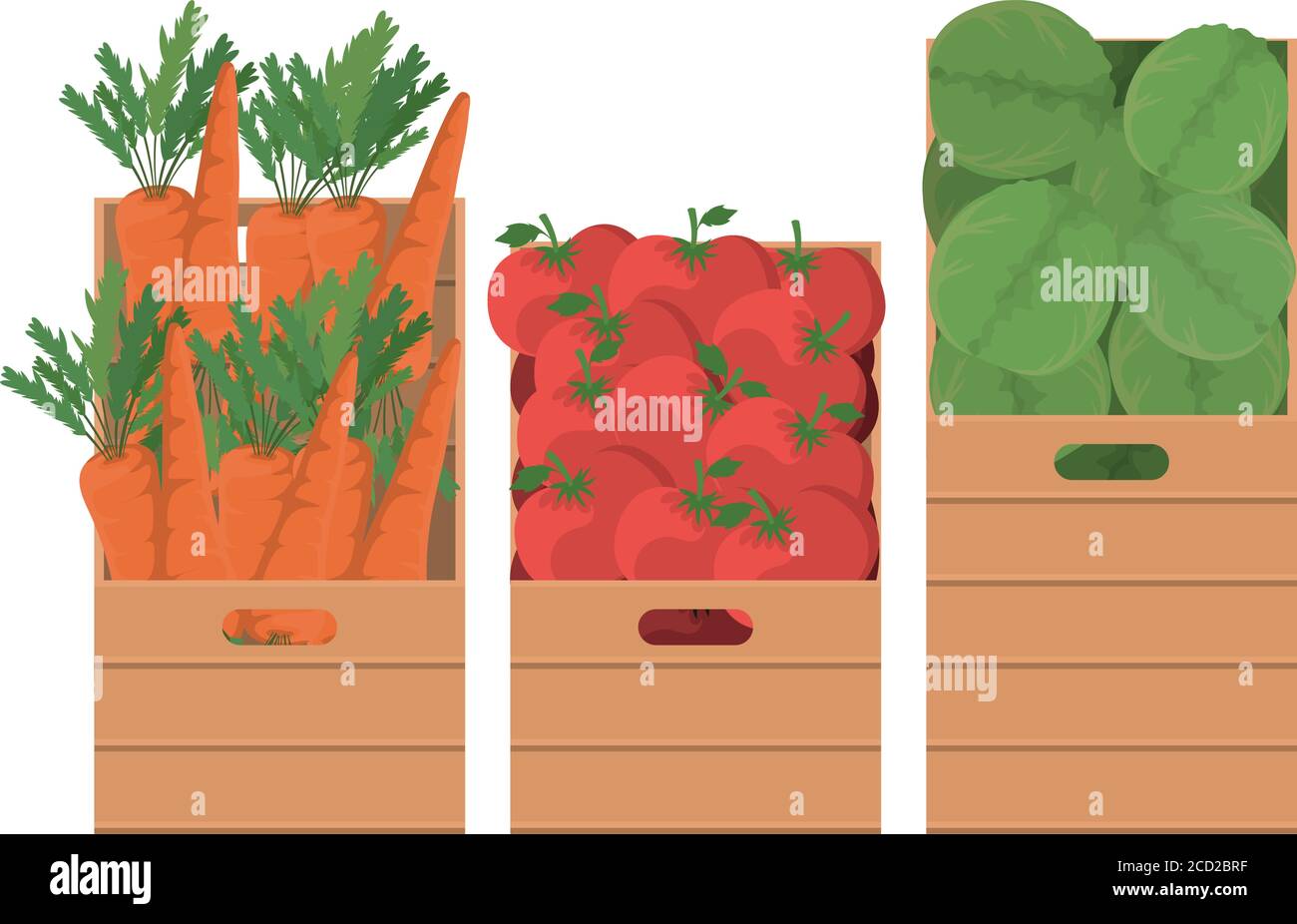 green leaves design of Floral nature garden ornament botany decoration ...