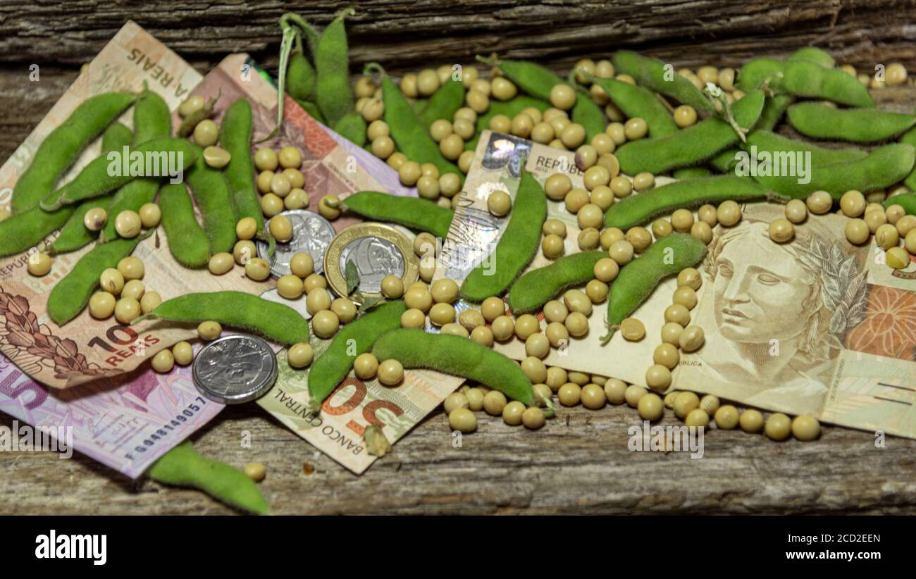 Coins and bank notes and soy beans. Economic representation. Cereal ... Coins and bank notes and soy beans. Economic representation. Cereal ...