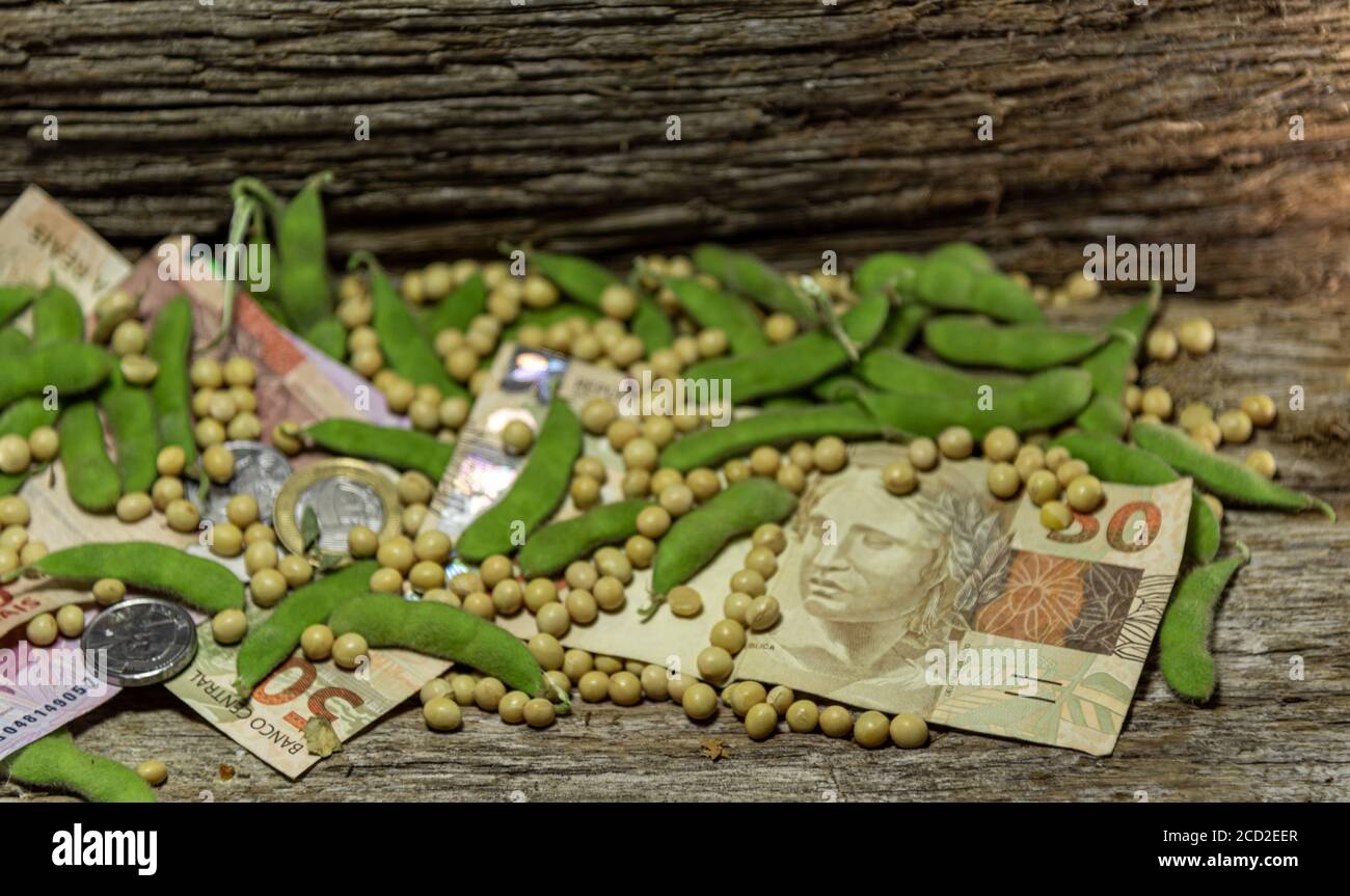 Coins and bank notes and soy beans. Economic representation. Cereal ... Coins and bank notes and soy beans. Economic representation. Cereal ...