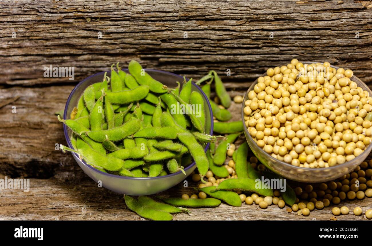 Two bowls, one filled with processed soy beans and the other filled ...