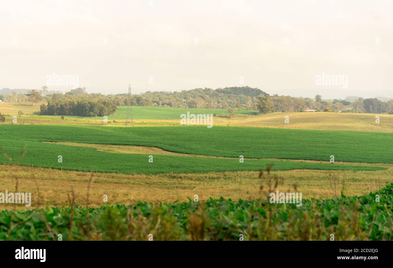 Brazil soy field aerial hi-res stock photography and images - Alamy