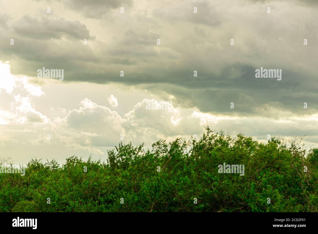 Cumulonimbus rain-forming cloud in the tropics. In a cloud with typical ...