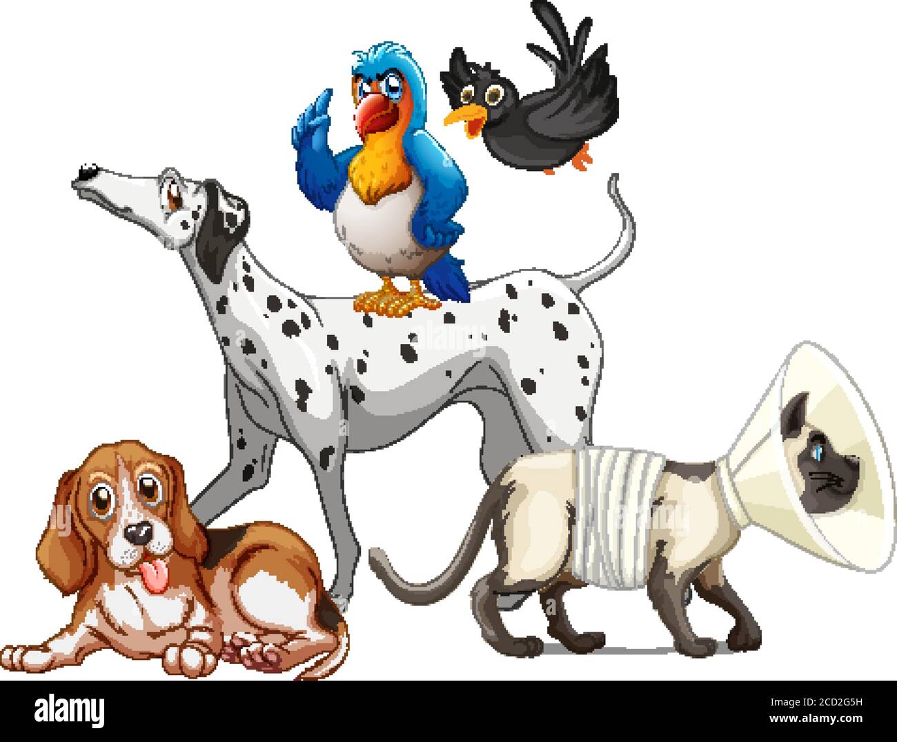 Group of pet on white background illustration Stock Vector Image & Art ...