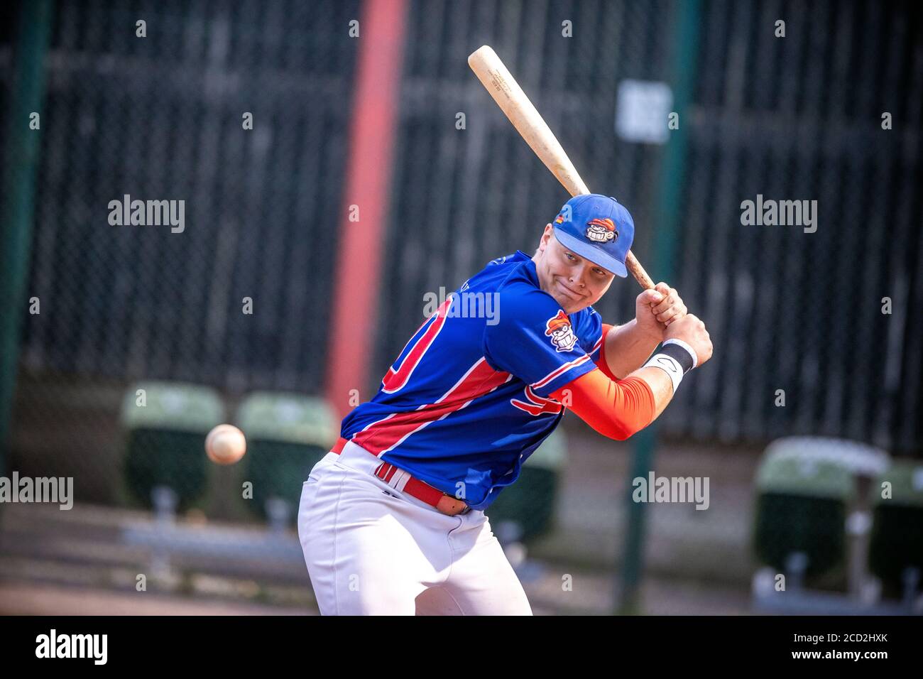 Hamburg, Germany. 17th Aug, 2020. Simon Bäumer, Bundesliga baseball ...