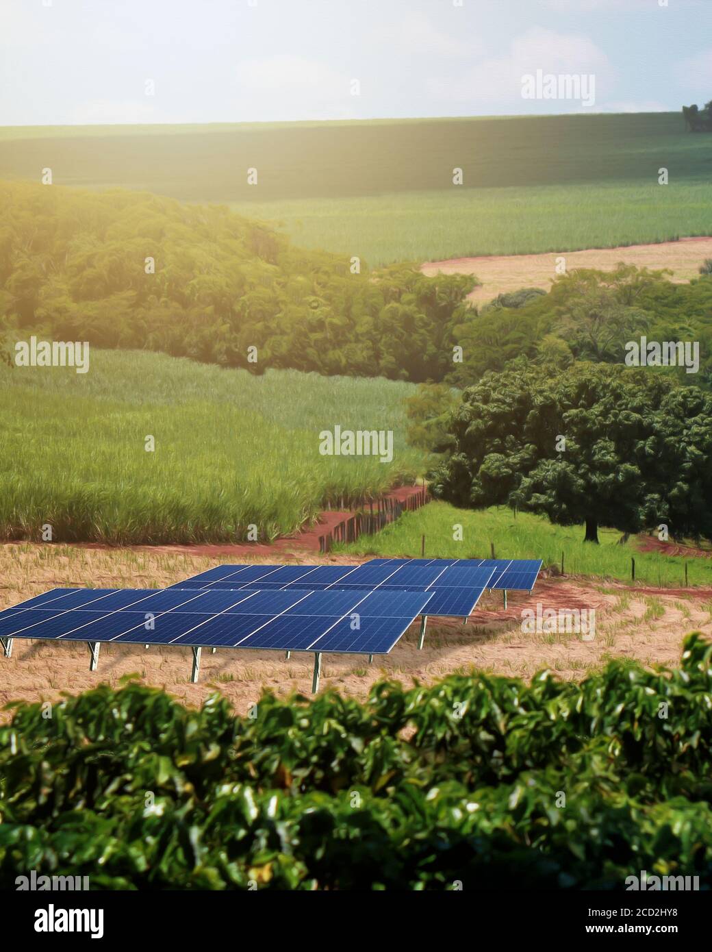Solar panel farm india hi-res stock photography and images - Alamy