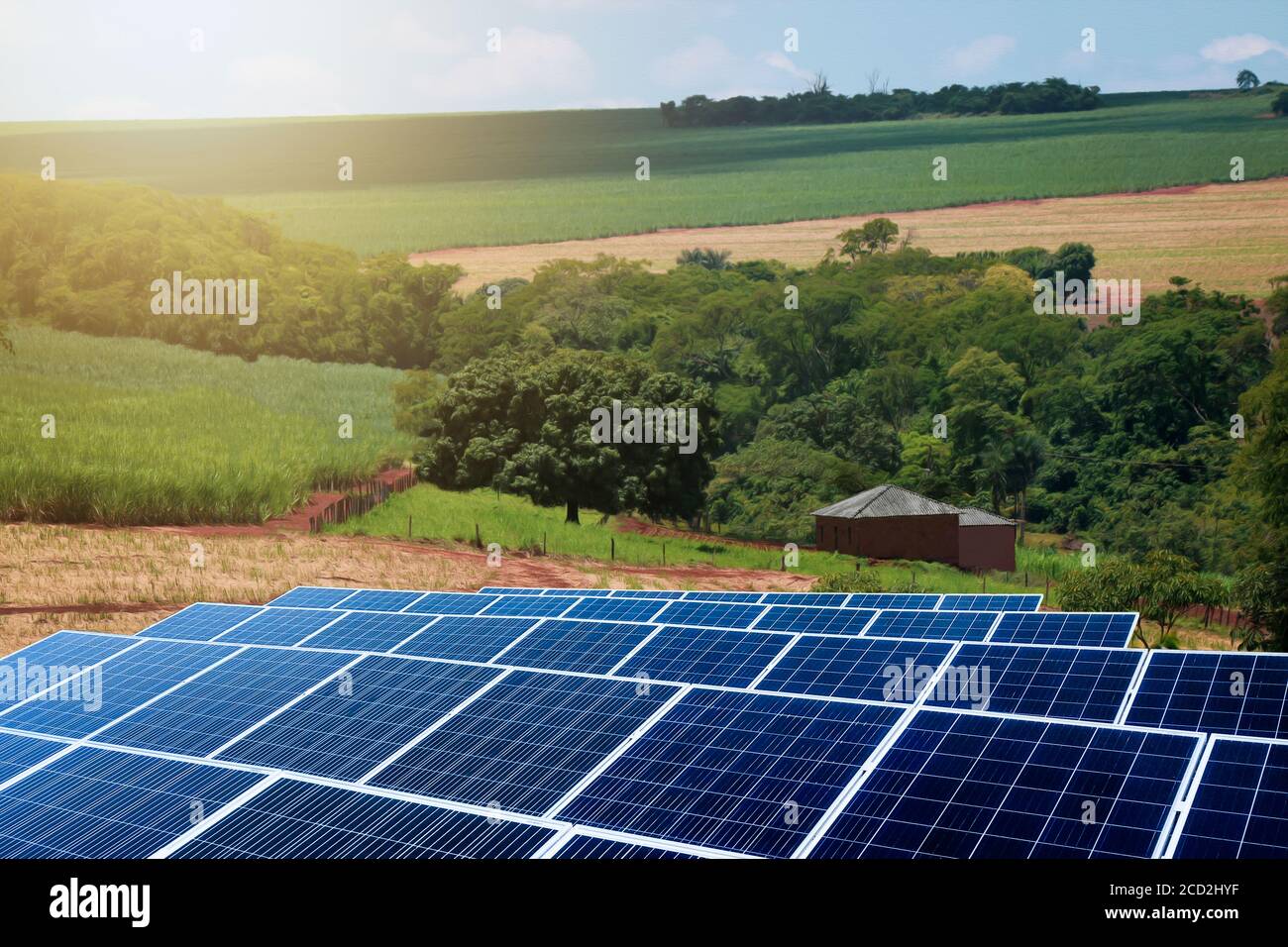 Solar plant india hi-res stock photography and images - Alamy