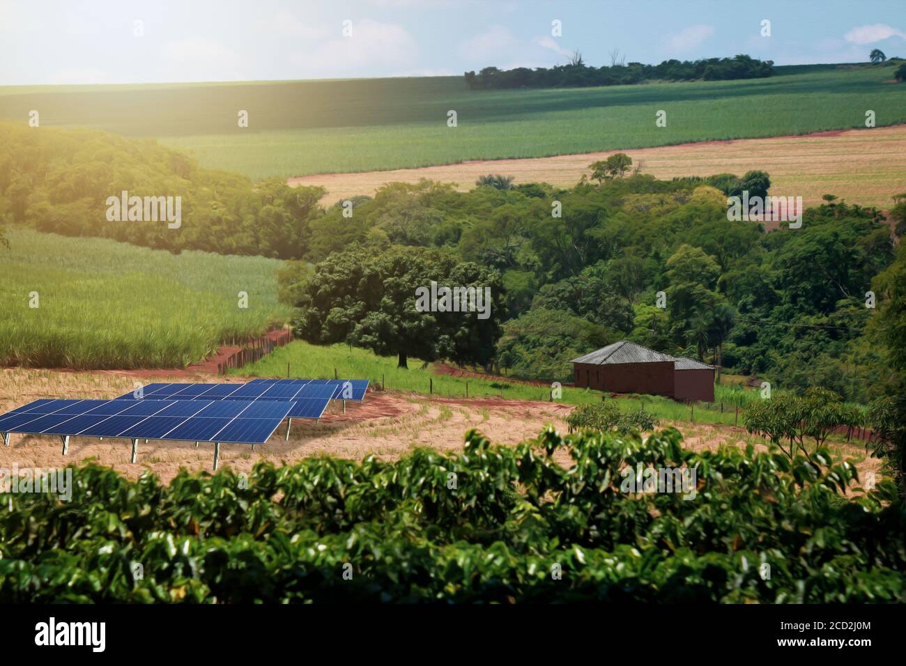Solar energy farm hi-res stock photography and images - Alamy