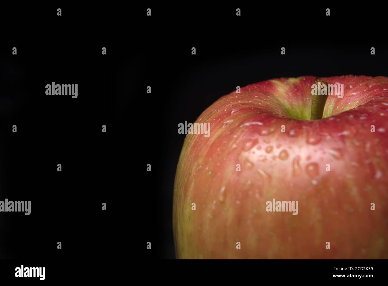 Variegated apple red and yellow with water drops on black background ...