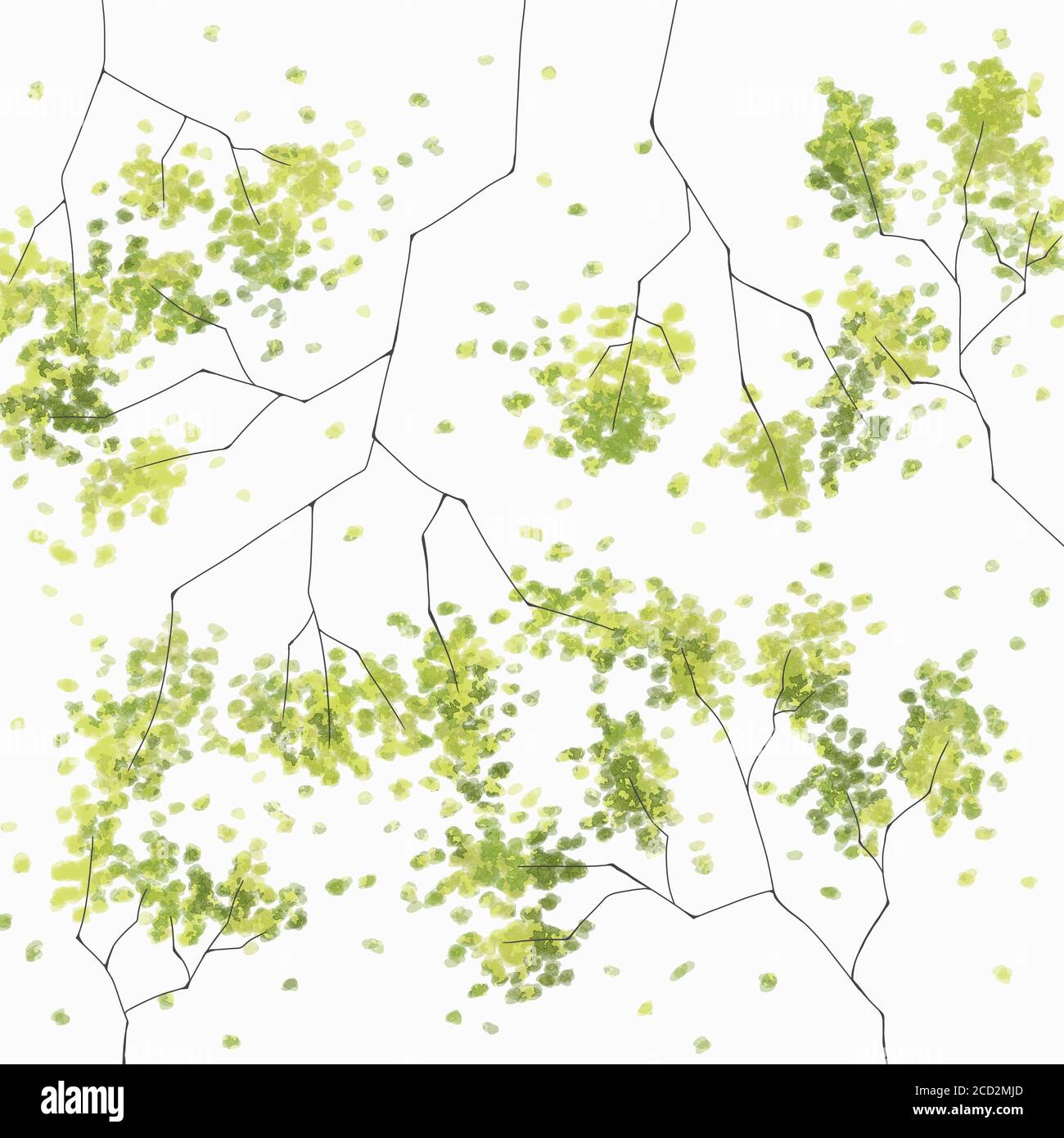Colorful and Fun Nature Background Stock Photo - Alamy