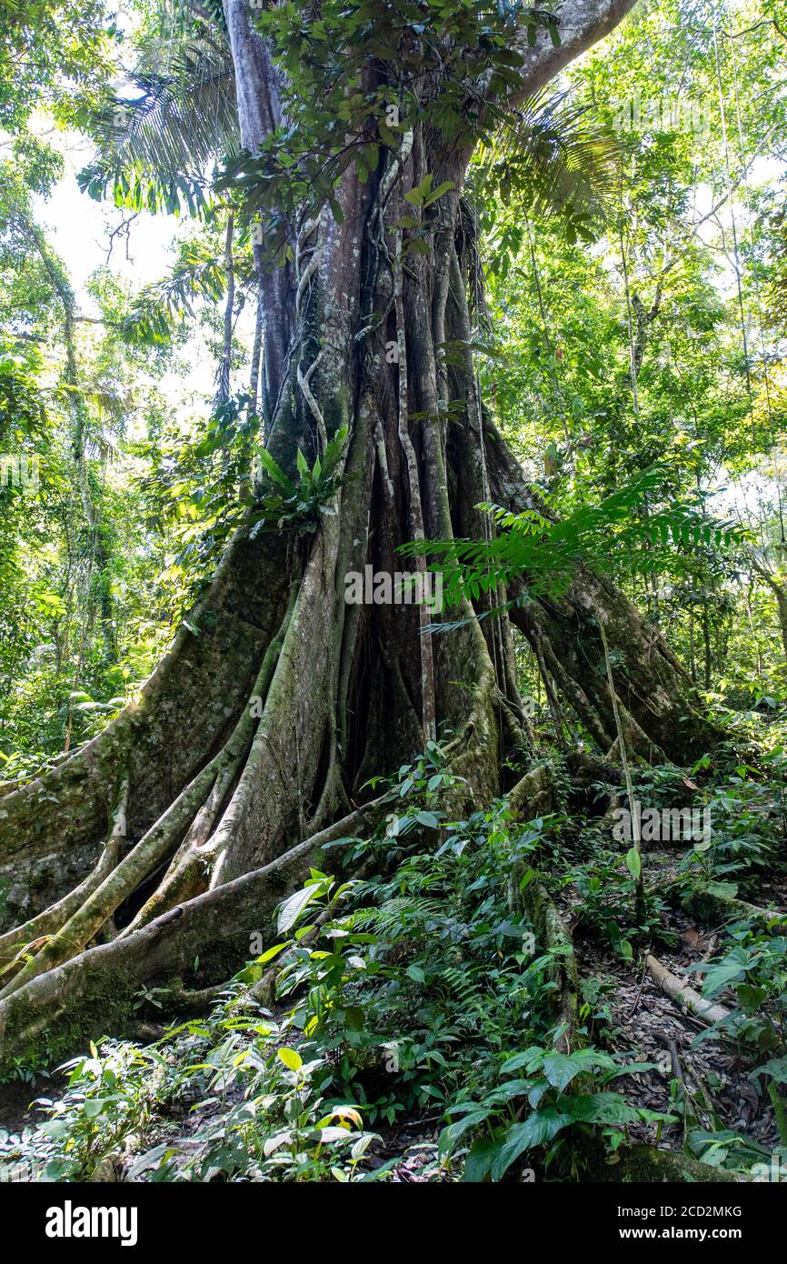 Peru rain ocean hi-res stock photography and images - Alamy