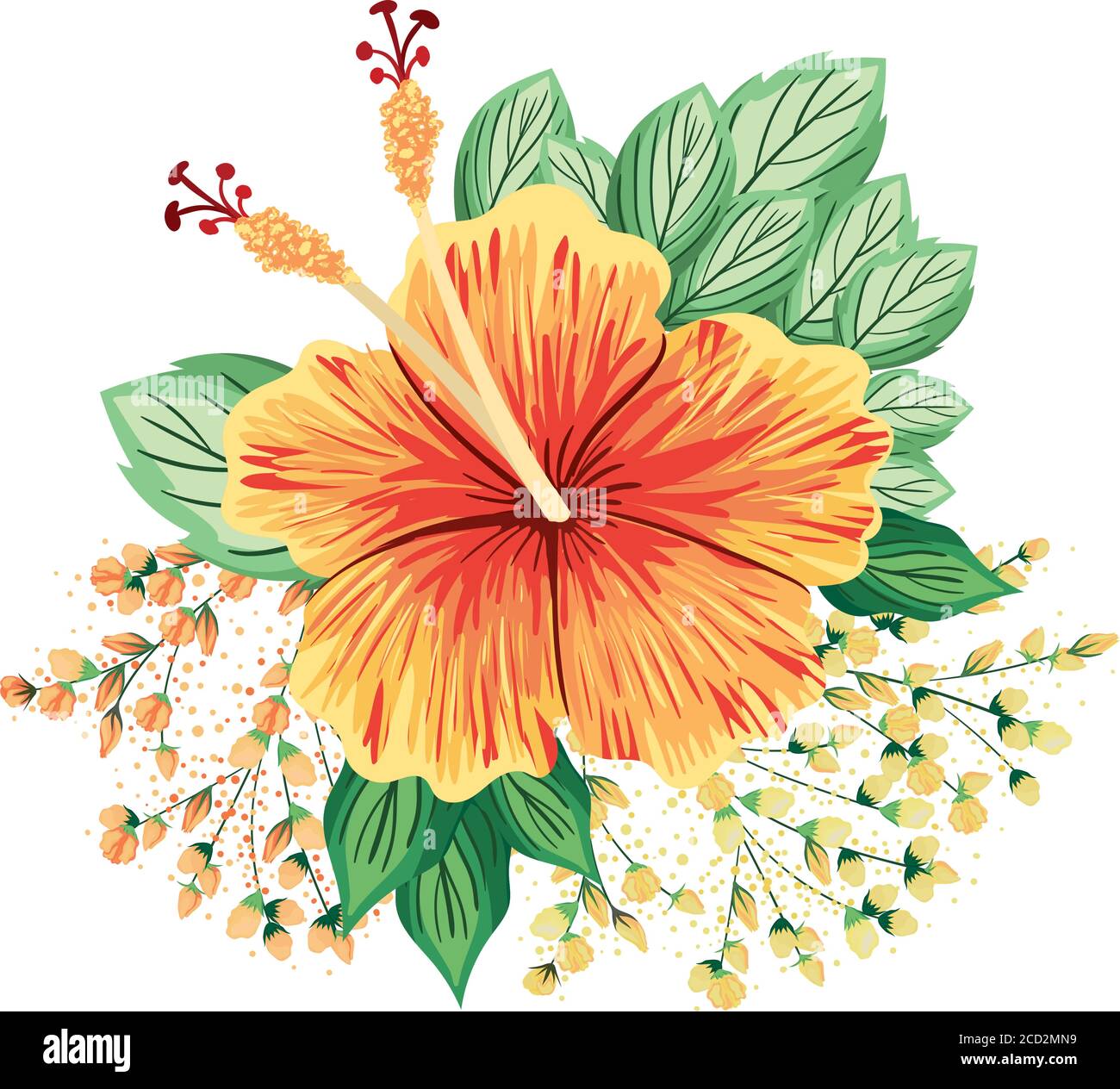 Hawaiian Flower Designs