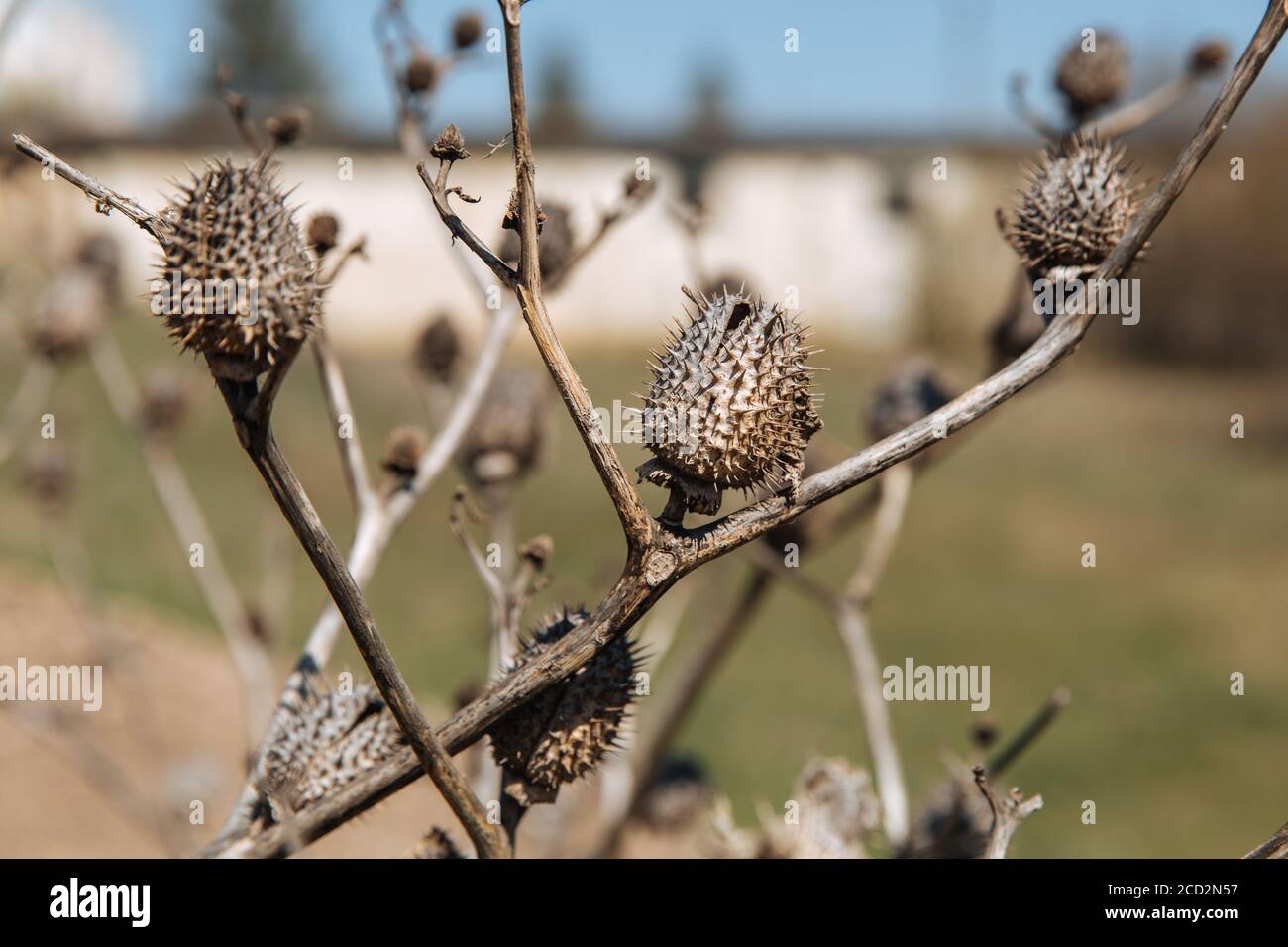 Climate projection hi-res stock photography and images - Alamy