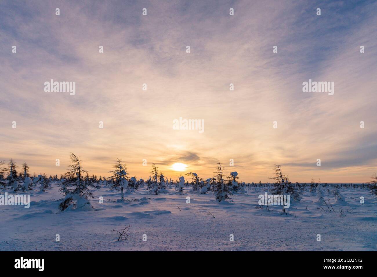 Winter snowscape with forest, trees and snowy cliffs. Blue sky. Winter ...