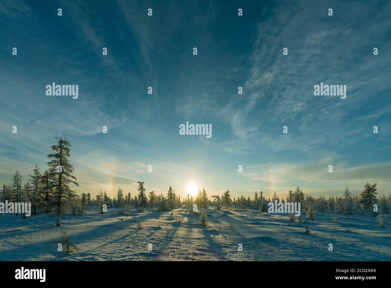 Winter snowscape with forest, trees and snowy cliffs. Blue sky. Winter ...