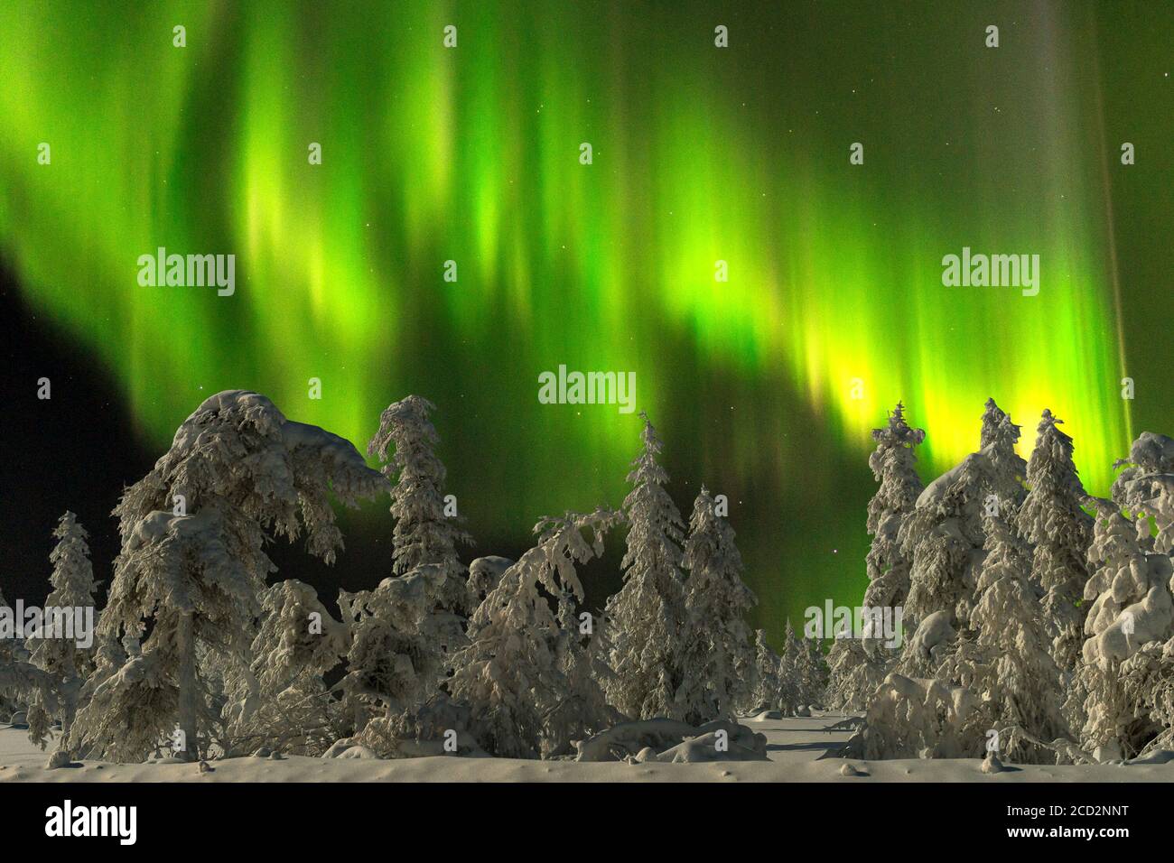 Northern Lights - Aurora borealis over snow-covered forest. Beautiful ...