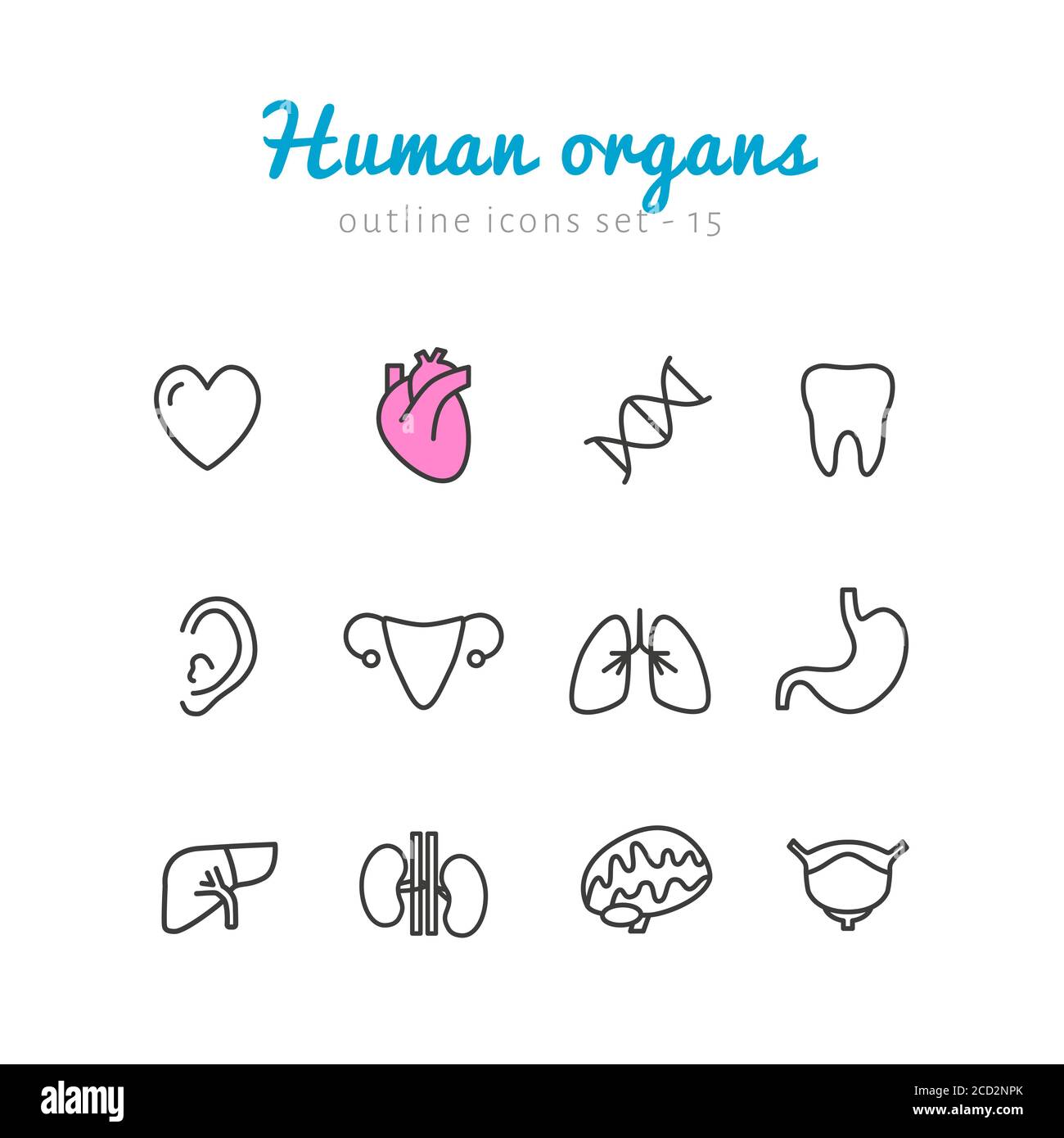Human body systems hi-res stock photography and images - Alamy