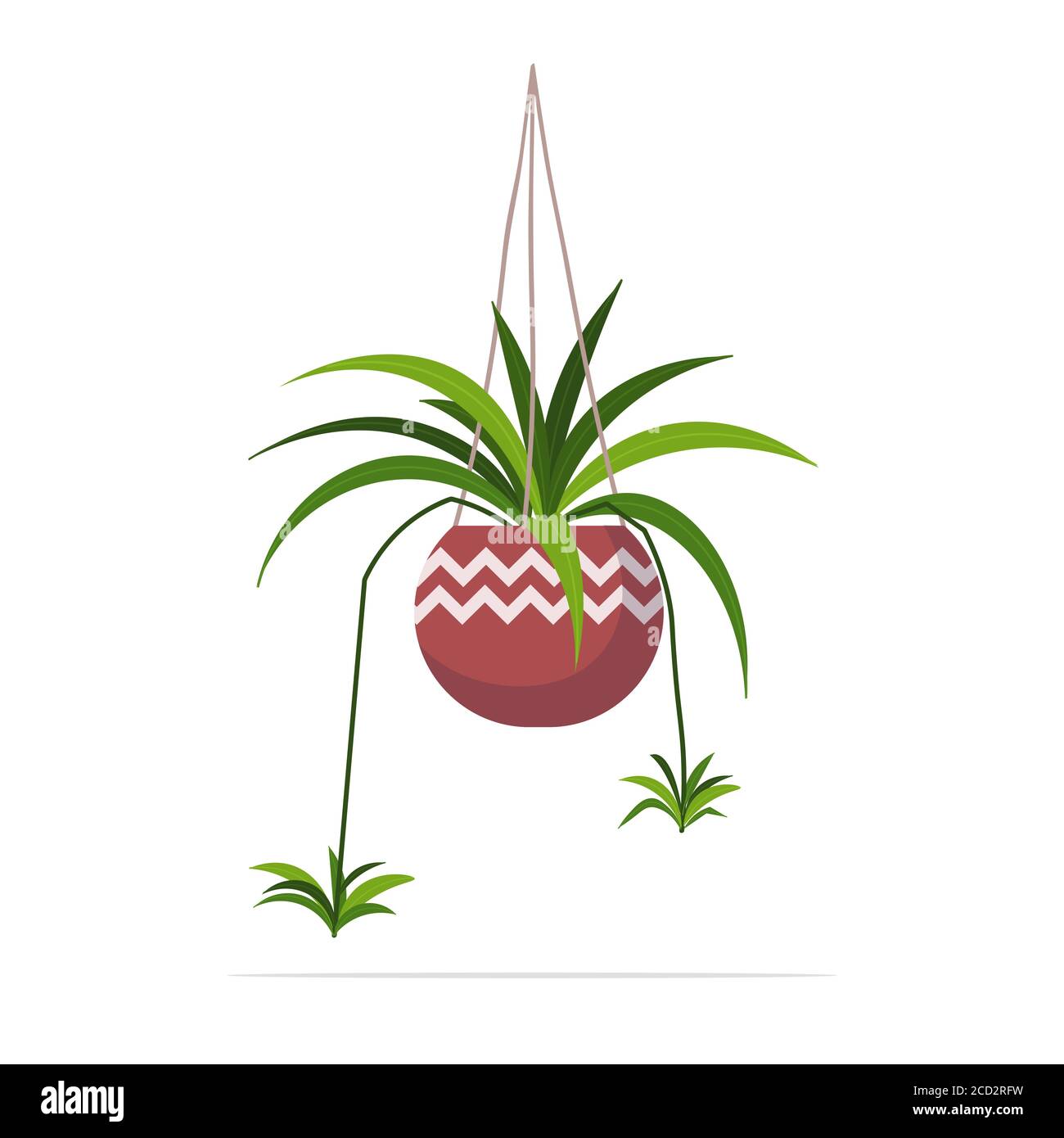 Decorative Houseplant Planted In Ceramic Pot Garden Potted Plants