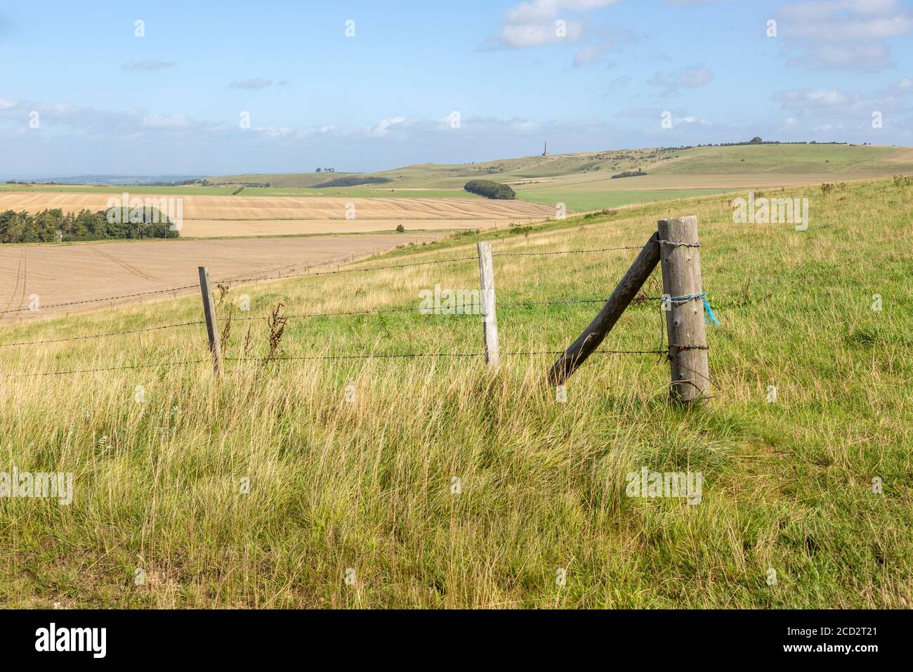 Chalk landscape North Wessex Downs AONB, view towards Beckhampton ...