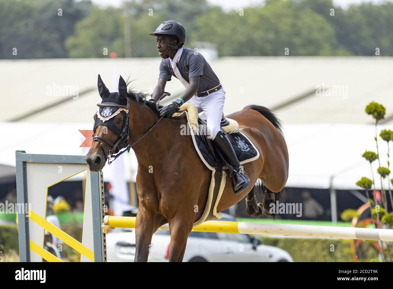 Show Jumping Landing