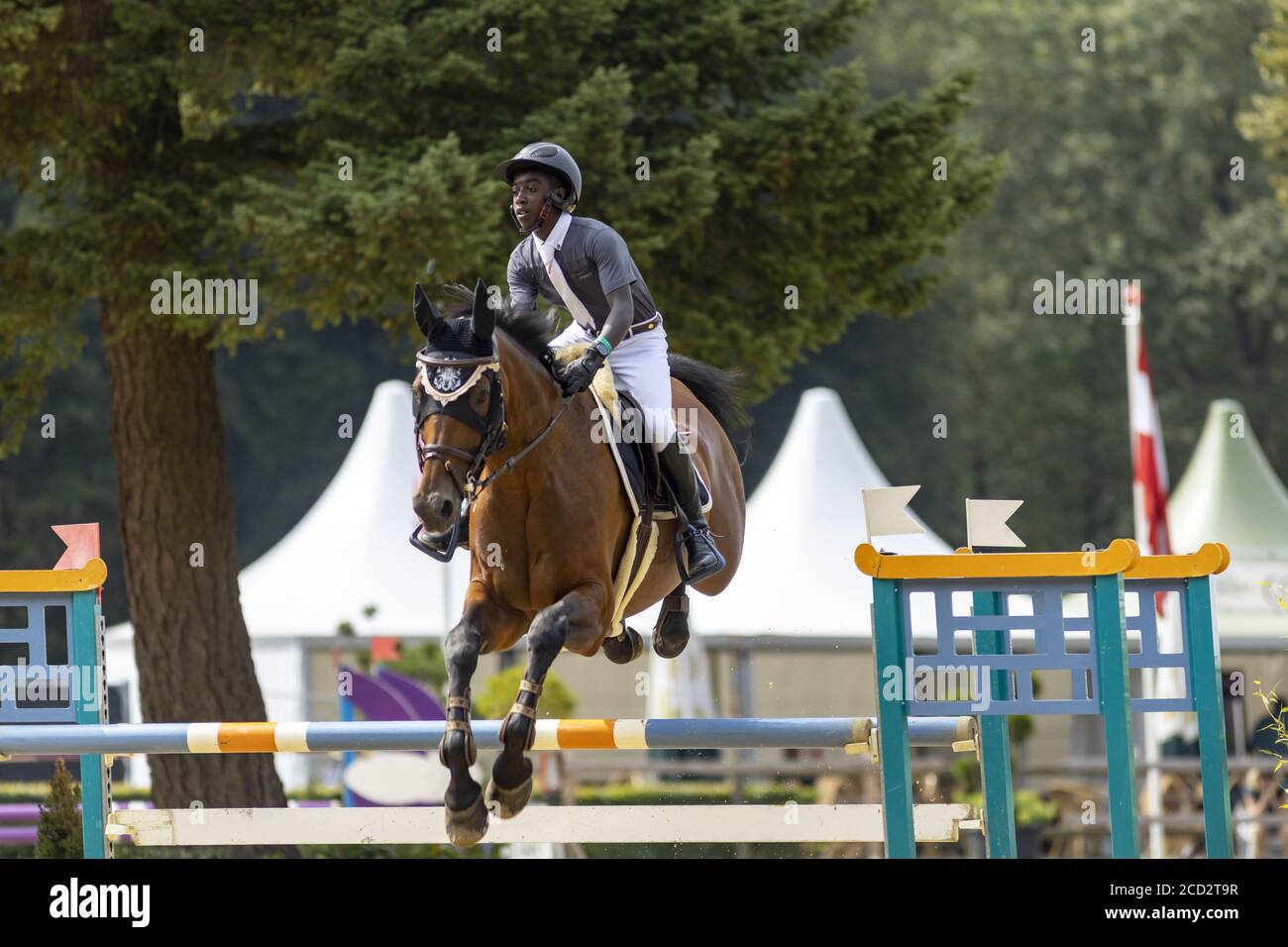 HOG, NETHERLANDS - Aug 15, 2020: Young black horseback rider with large ...