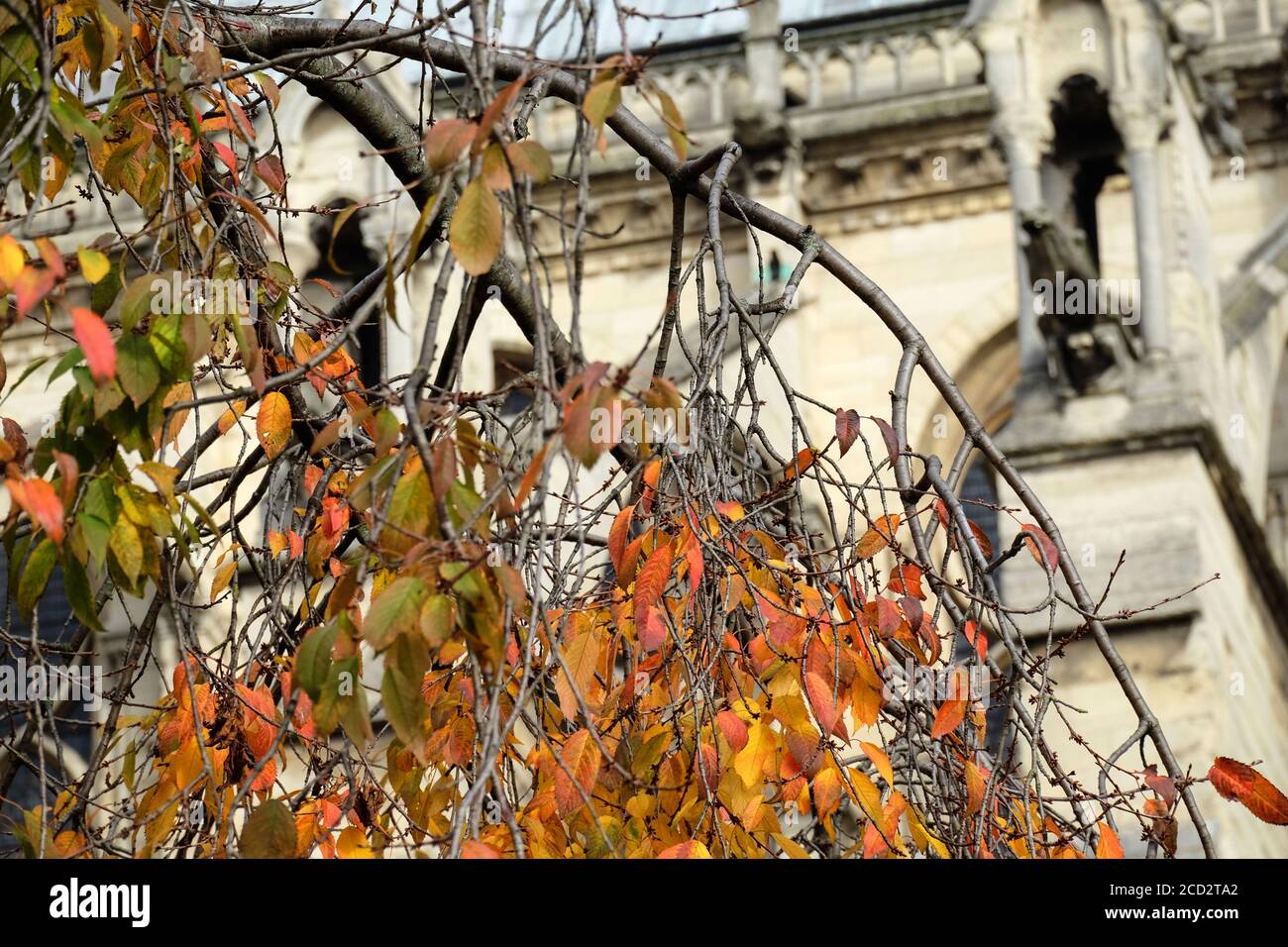 Romantic and beautiful autumn scenery of Paris Stock Photo - Alamy