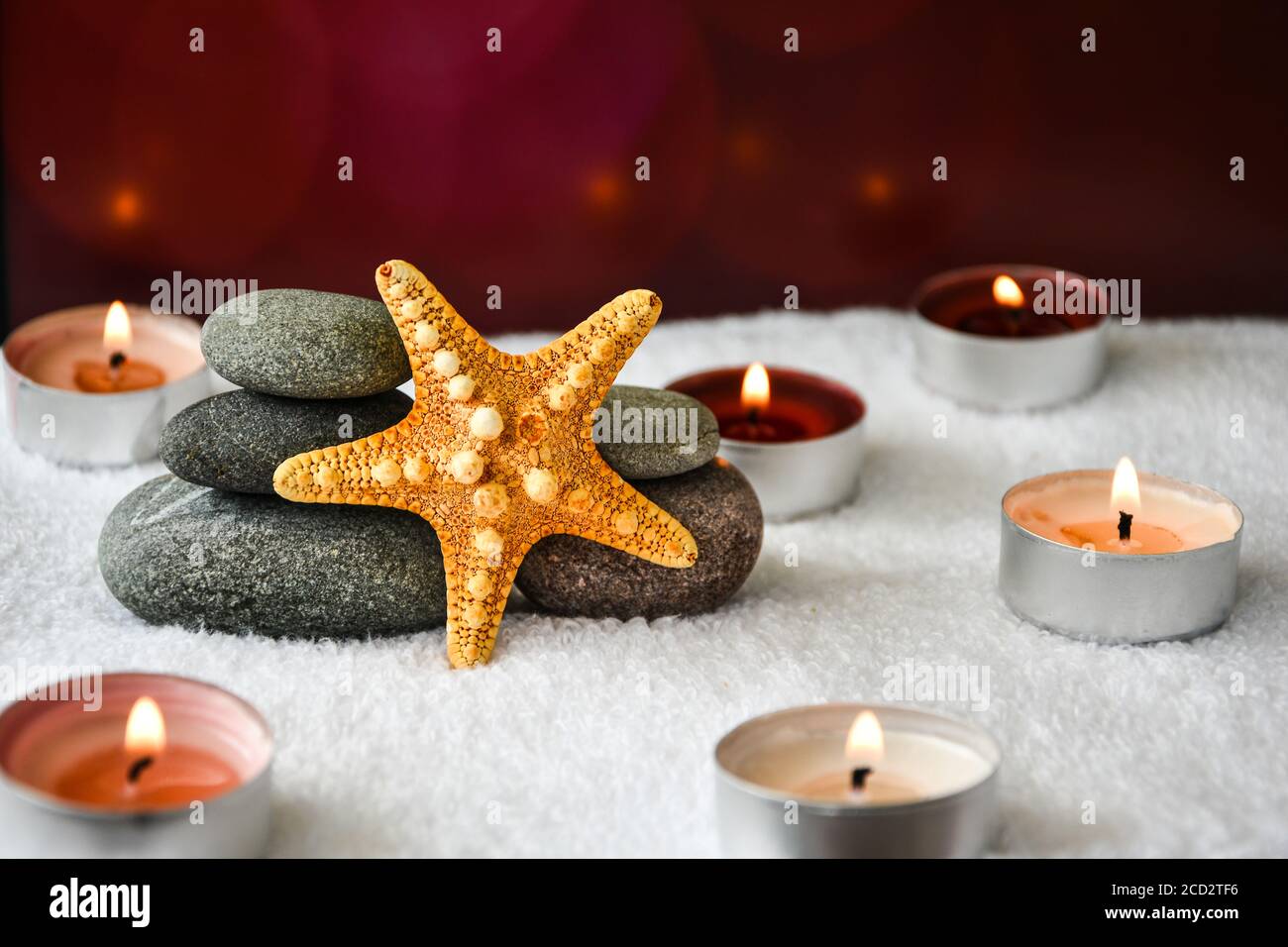 Stafish hi-res stock photography and images - Alamy