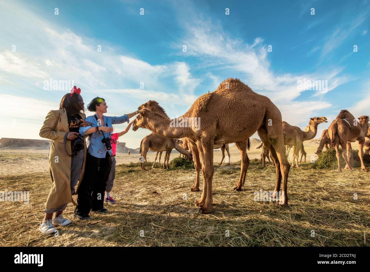 Al sarar hi-res stock photography and images - Alamy