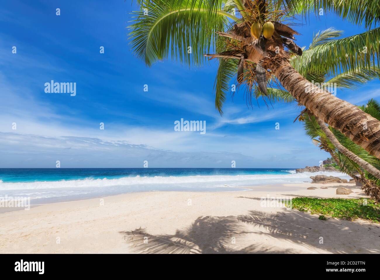 Paradise sunny beach Stock Photo - Alamy