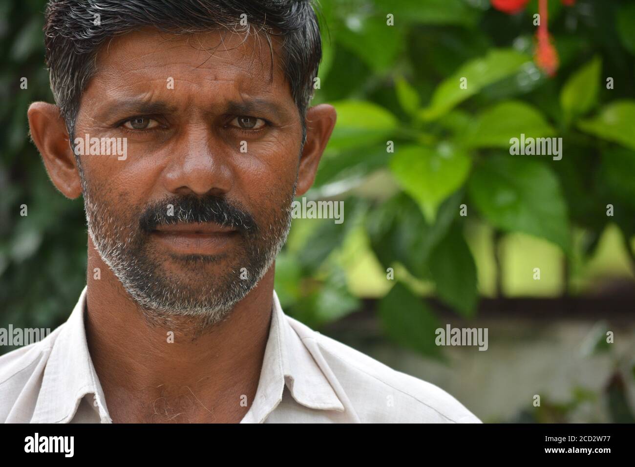 Indian aged farmer hi-res stock photography and images - Alamy