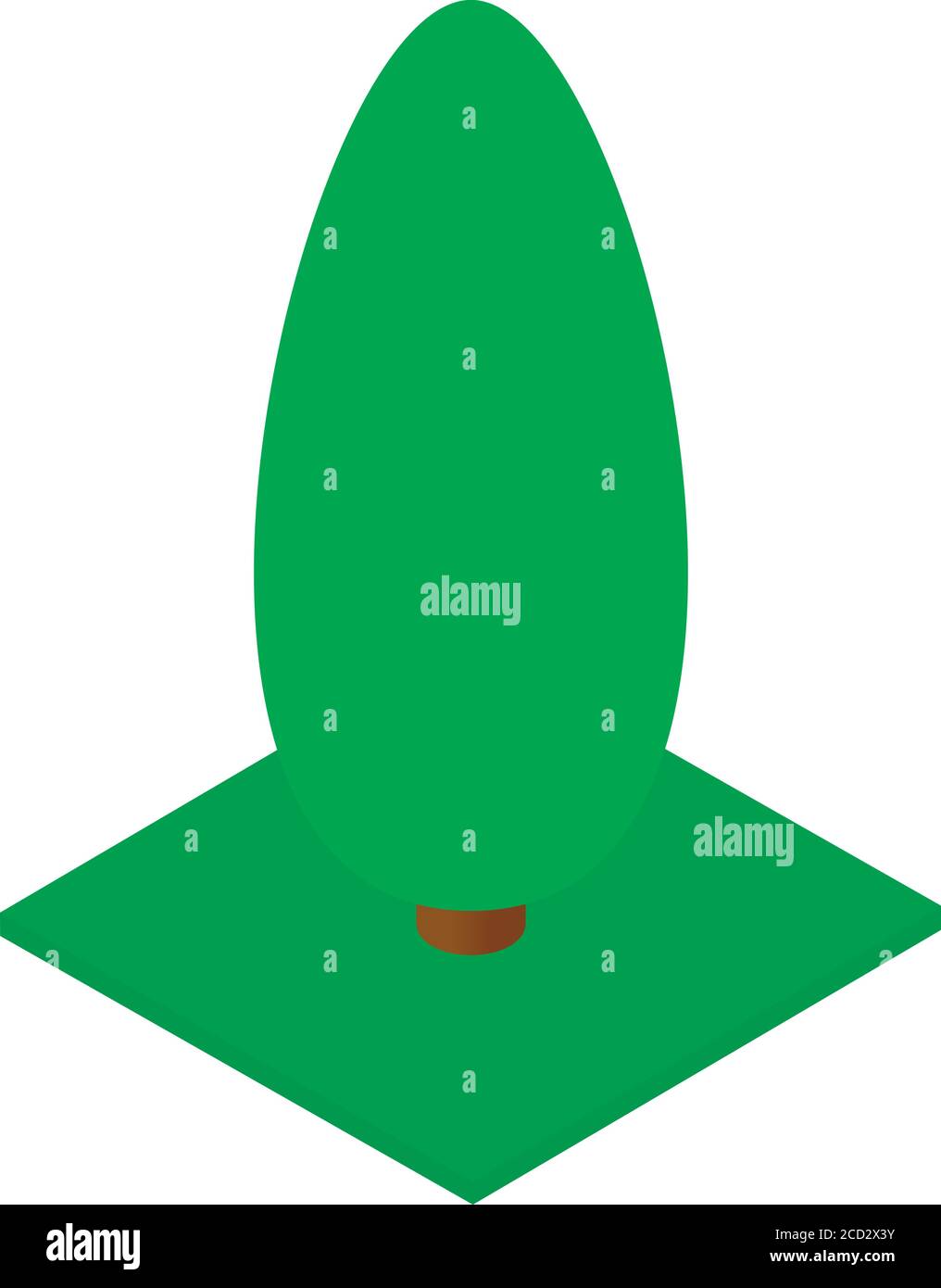 Green cypress isolated on Stock Vector Images - Alamy