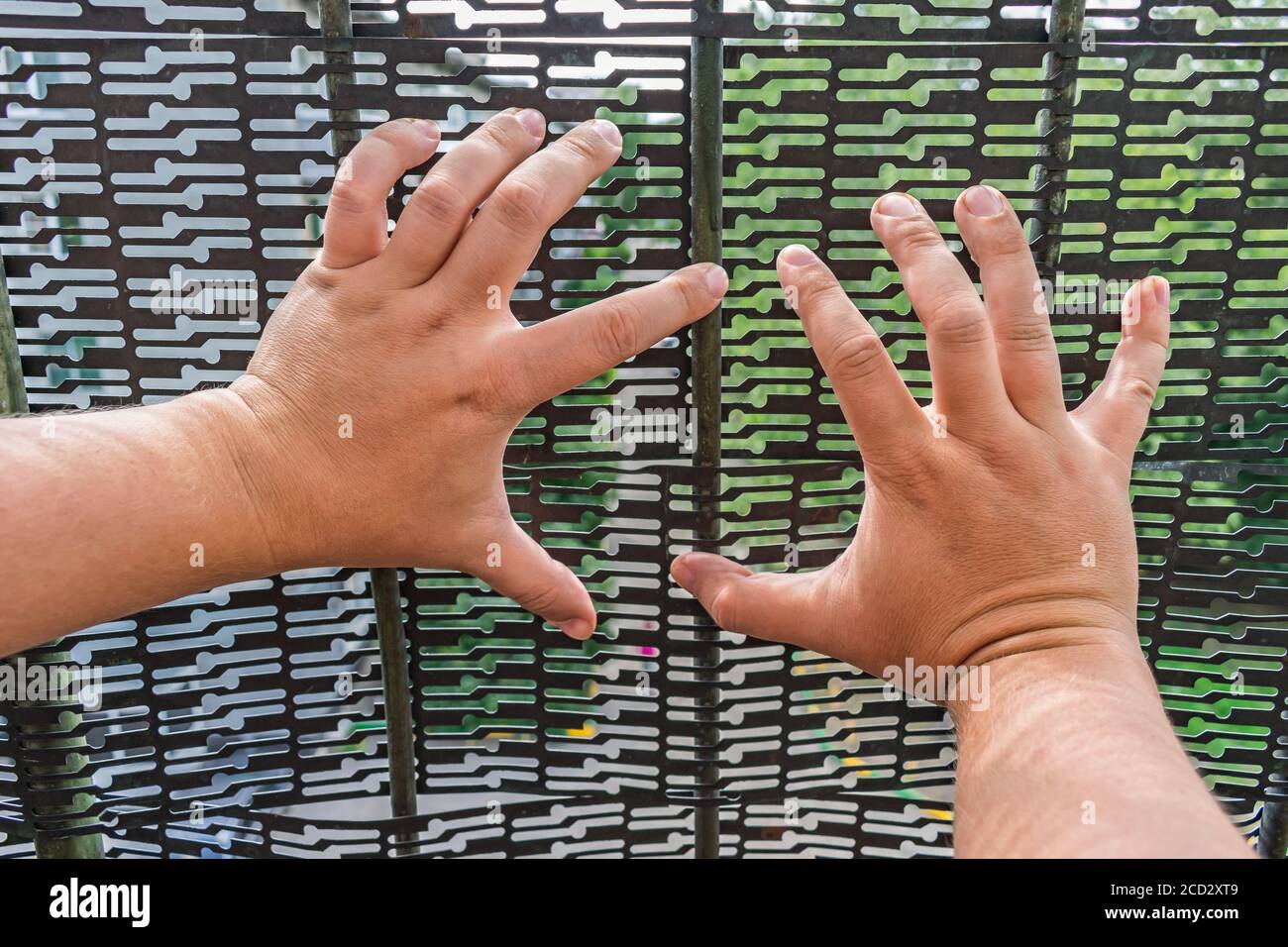 The hands of a locked man in a cage trying to escape through the bars ...