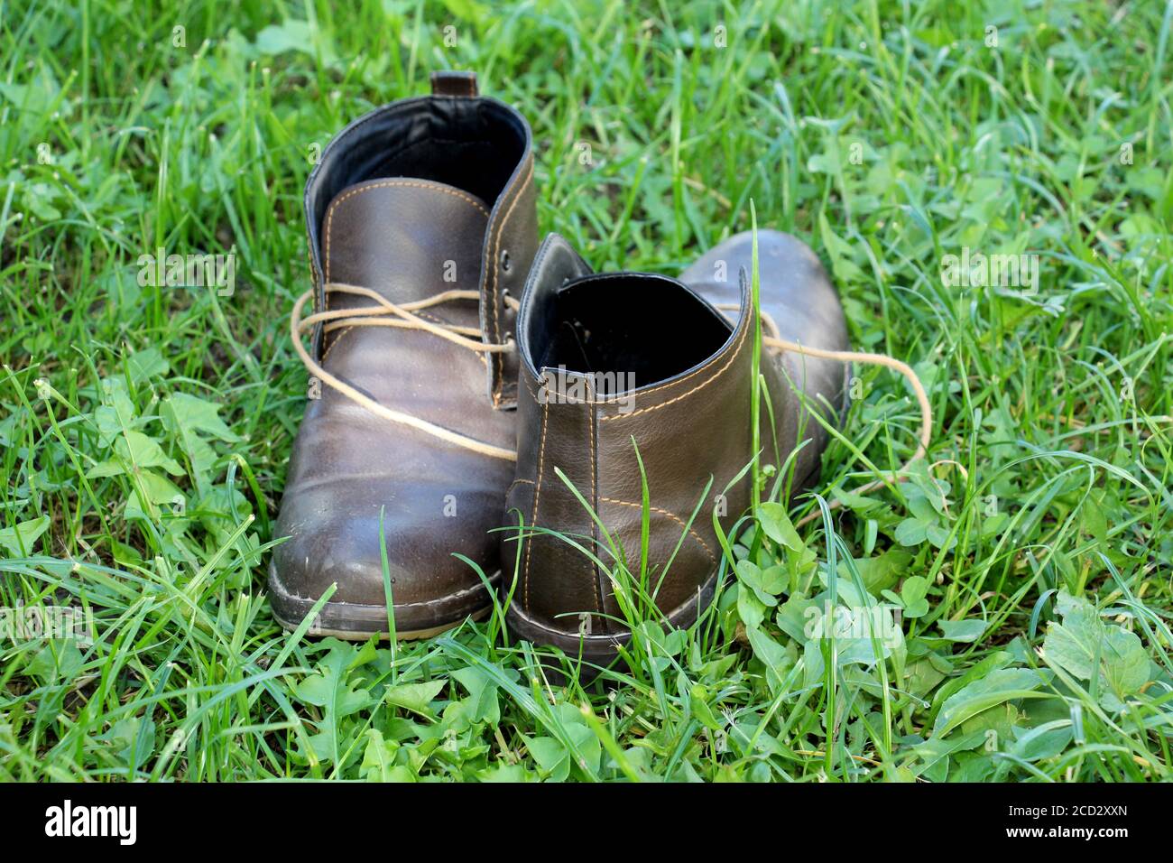 Warm men's leather boots on a grass background,image of a Stock Photo ...