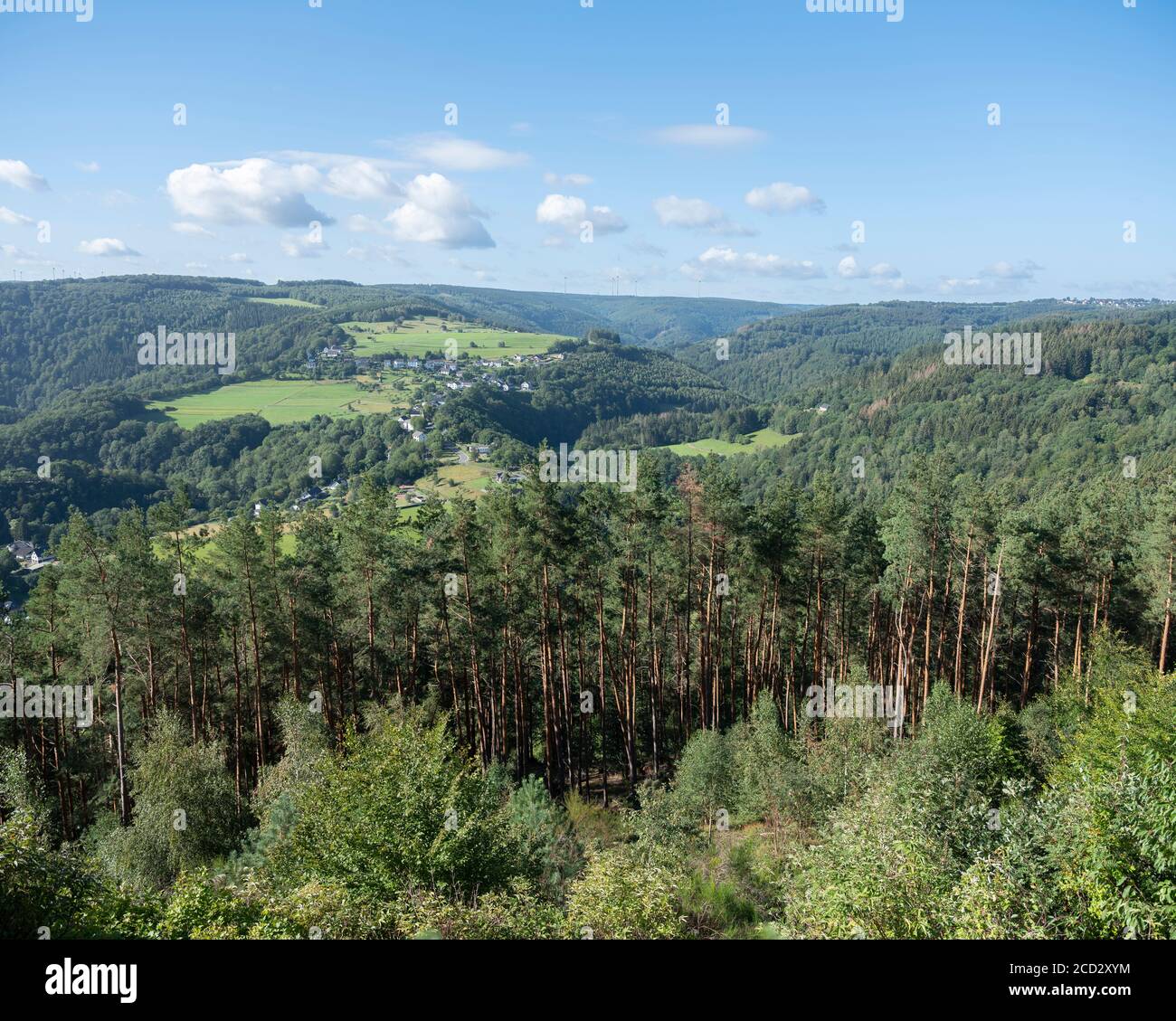 landscape with forests and meadows in german eifel Stock Photo - Alamy