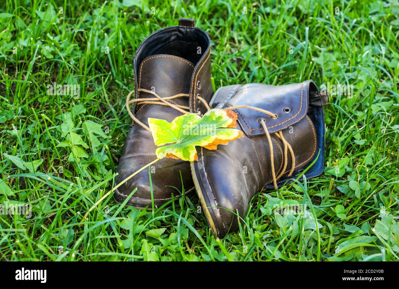Warm men's leather boots on a grass background,image of a Stock Photo ...
