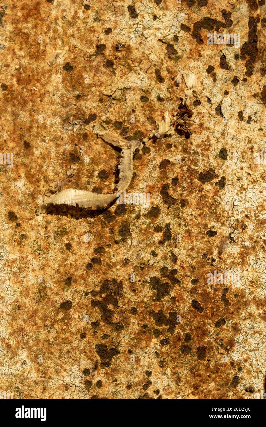 Abstract of rusty metal with decaying patterns Stock Photo - Alamy
