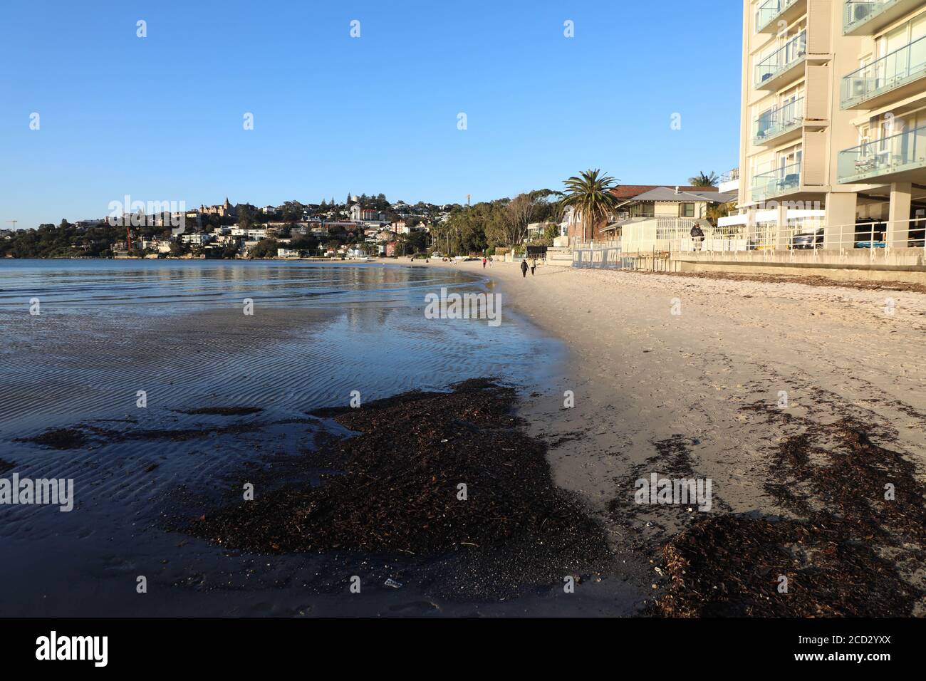 Rose bay beach hi-res stock photography and images - Alamy