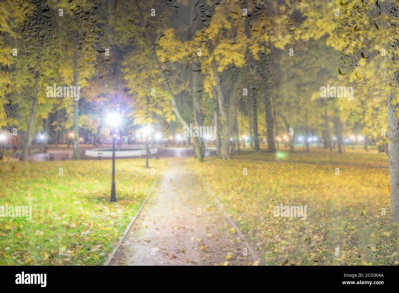 Night rainy park with yellow maple leaves, pavement and lanterns behind ...