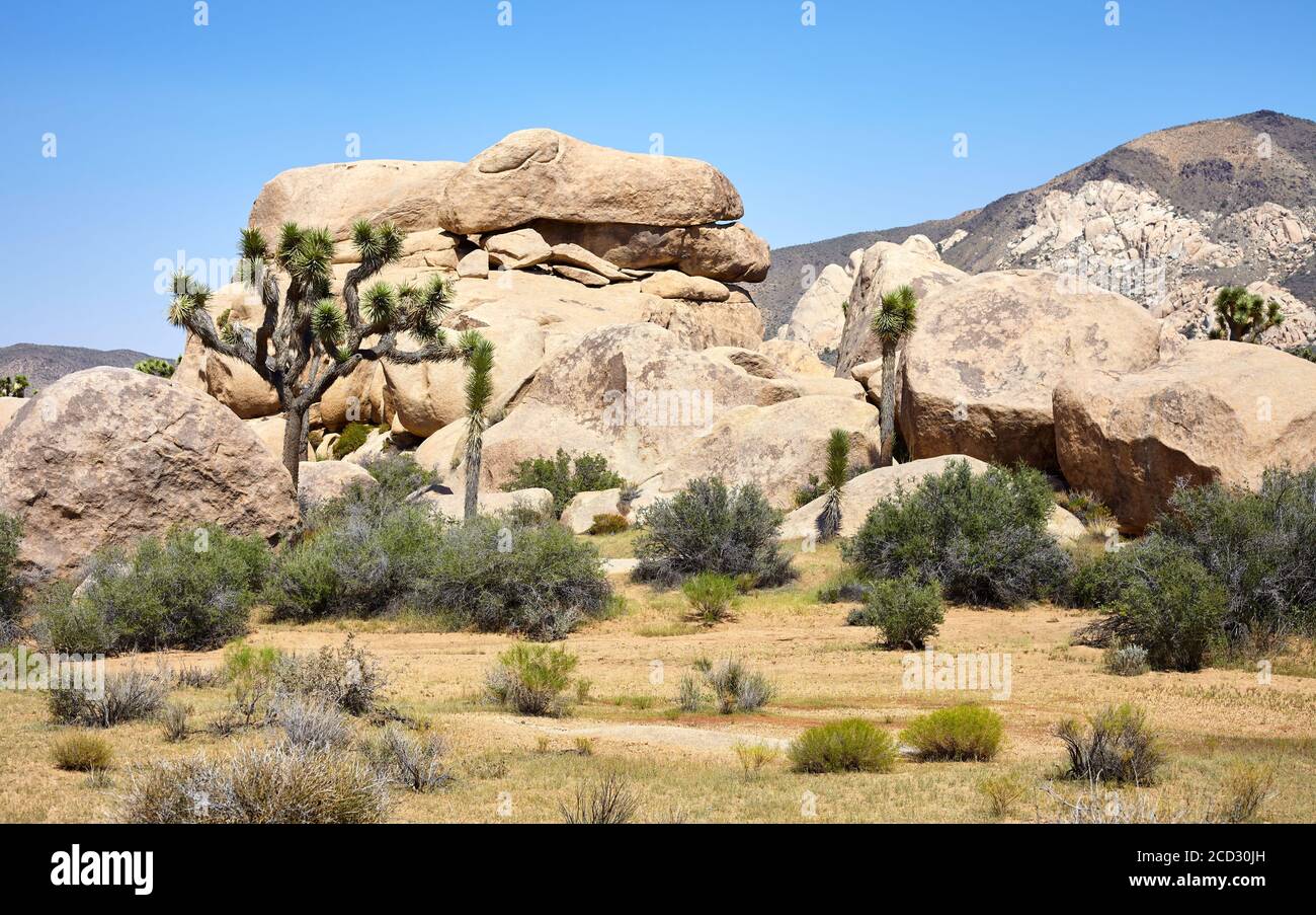 Boulders in Joshua Tree National Park, California, USA Stock Photo - Alamy