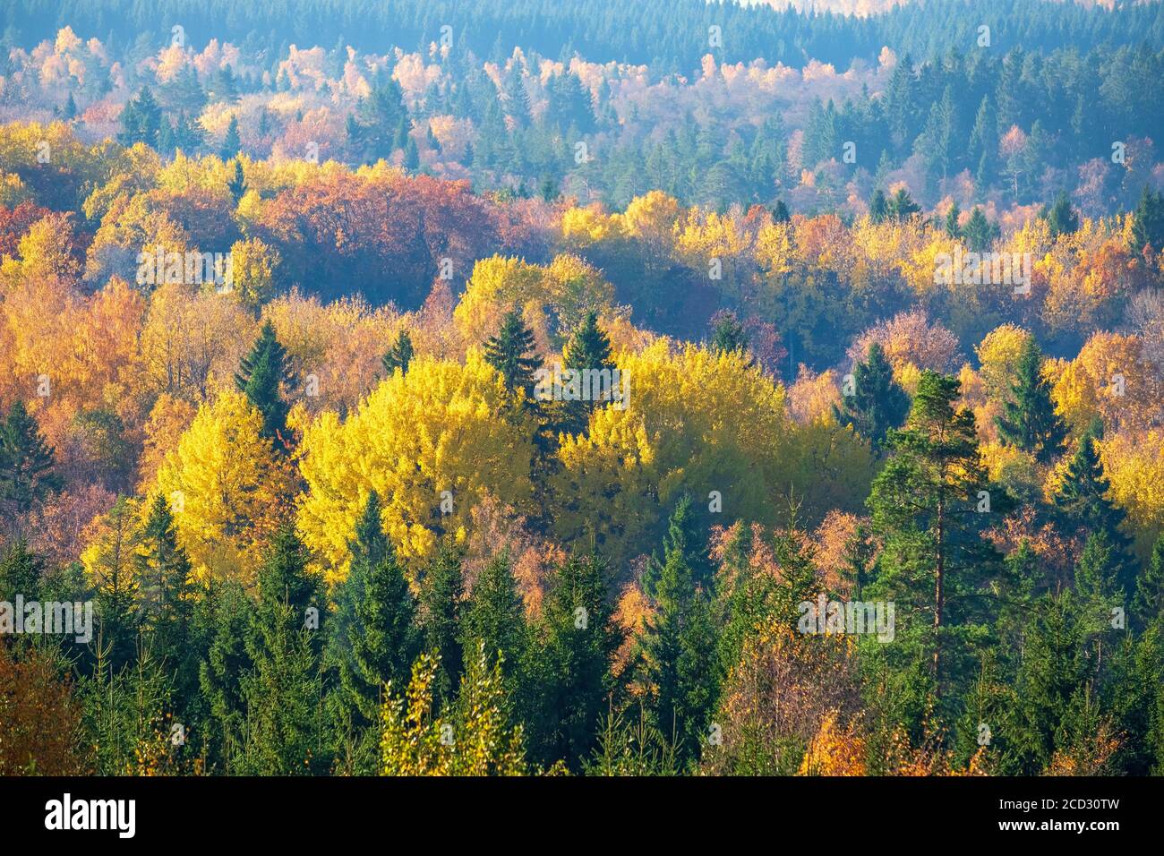 Delightful colours hi-res stock photography and images - Alamy