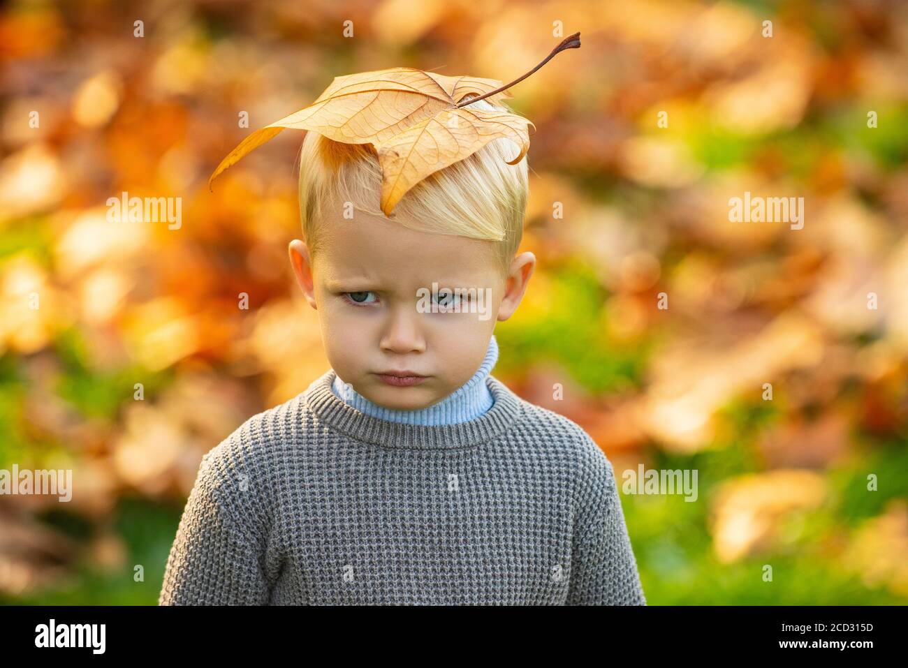 Sad child boy with autumn leaves, autumnal mood Stock Photo - Alamy
