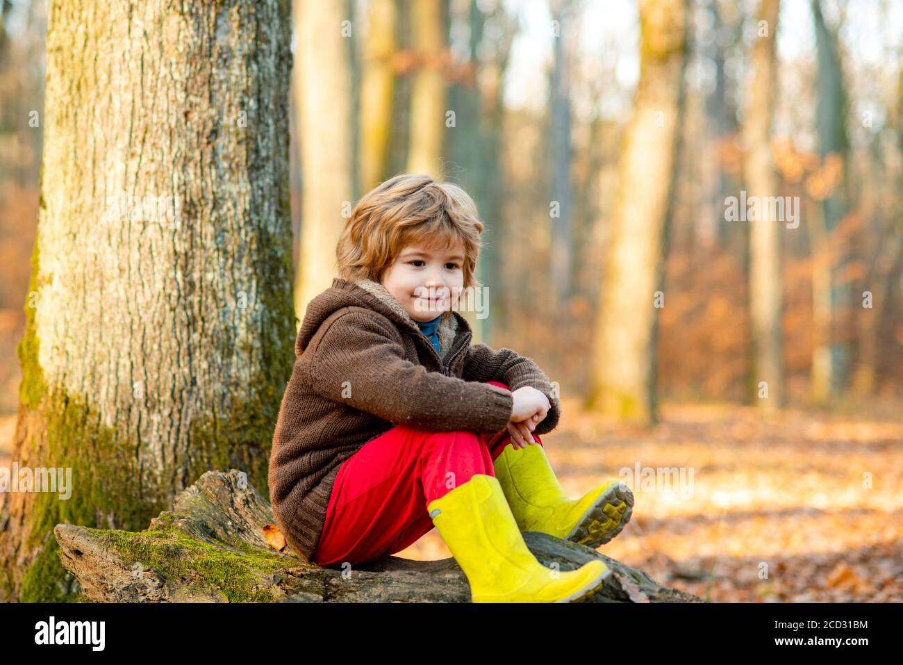 Cute kid sitt on fall leaves. Child walkingin in autumn park Stock ...