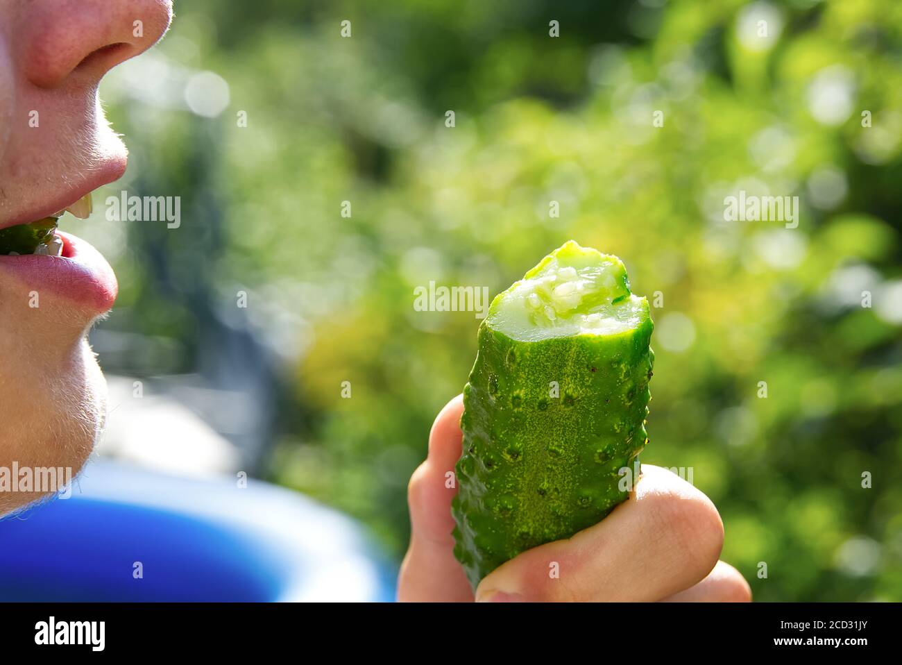 vegan bite off fresh ecological cucumber in nature. bitten cucumber in ...