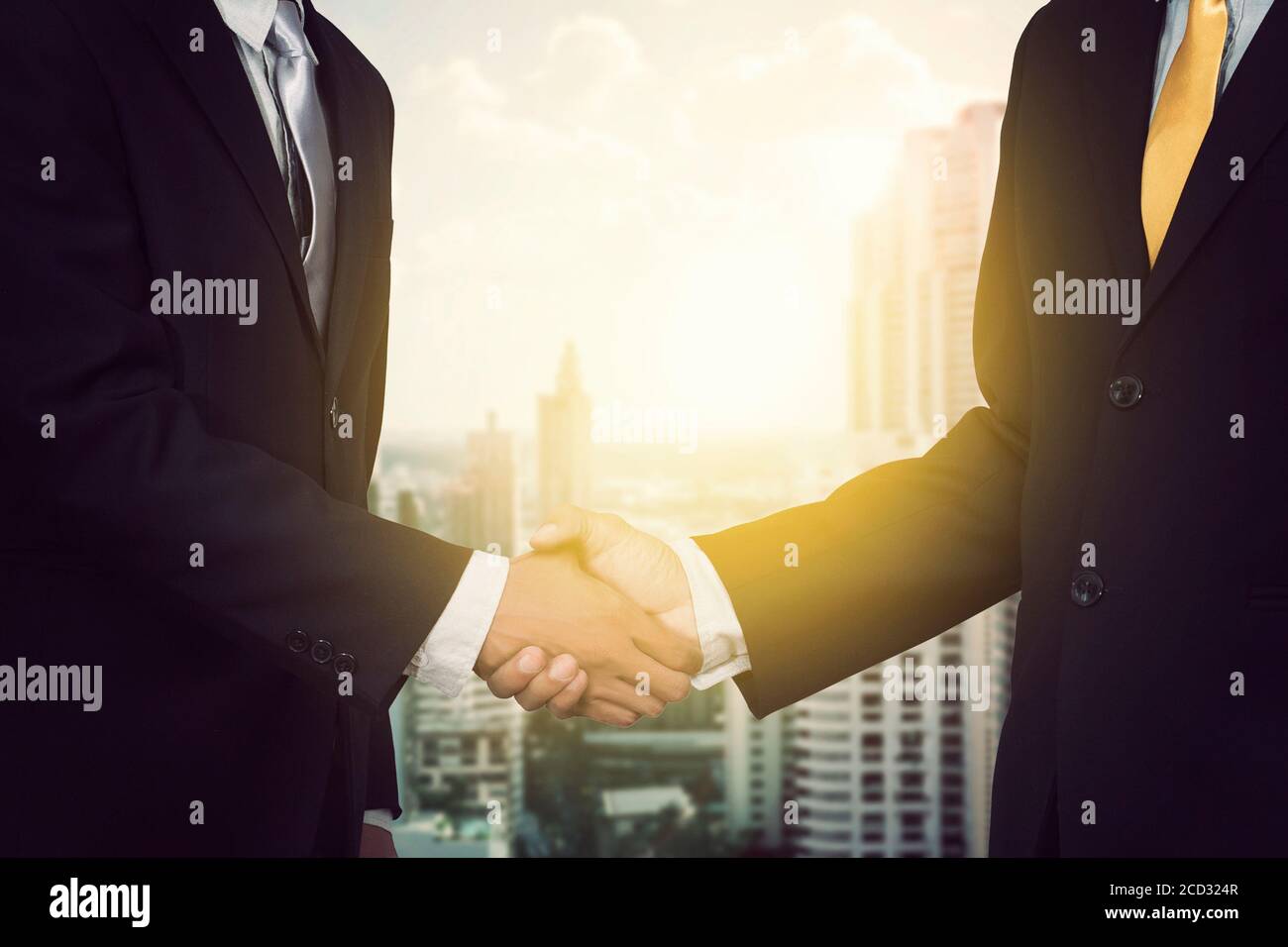 Two cheerful businessman shaking hands with city background, anonymous ...