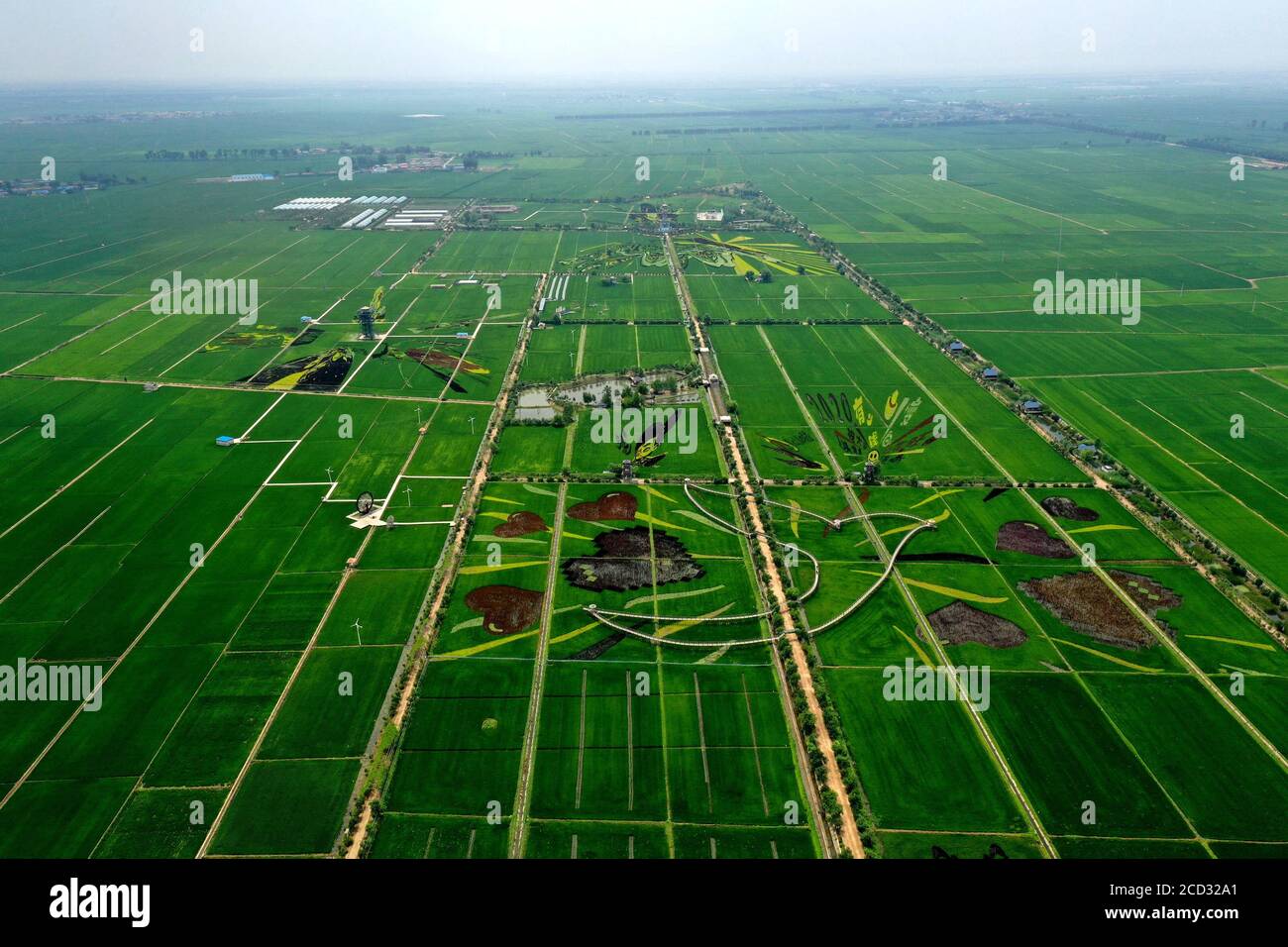 Aerial view of the rice field painting in Shenyang city, northeast ...