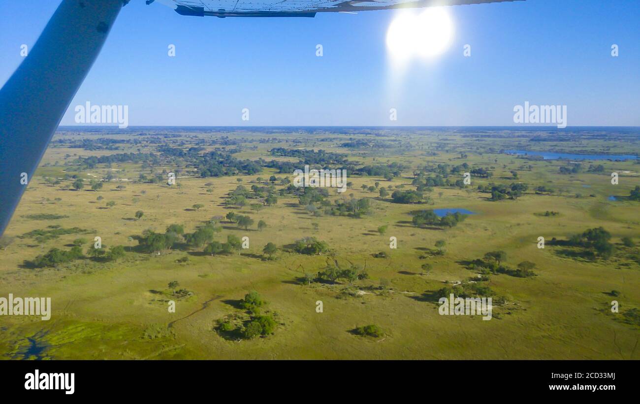 Aerial view at Moremi national park in Botswana, Africa Stock Photo - Alamy