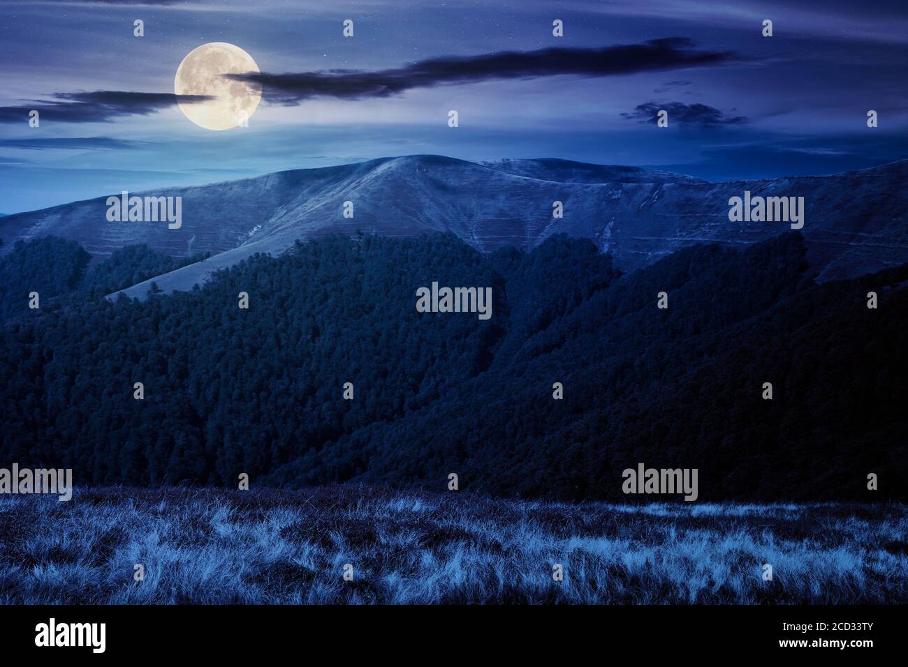 mountain landscape at night. trees on the meadow in dry grass in full ...