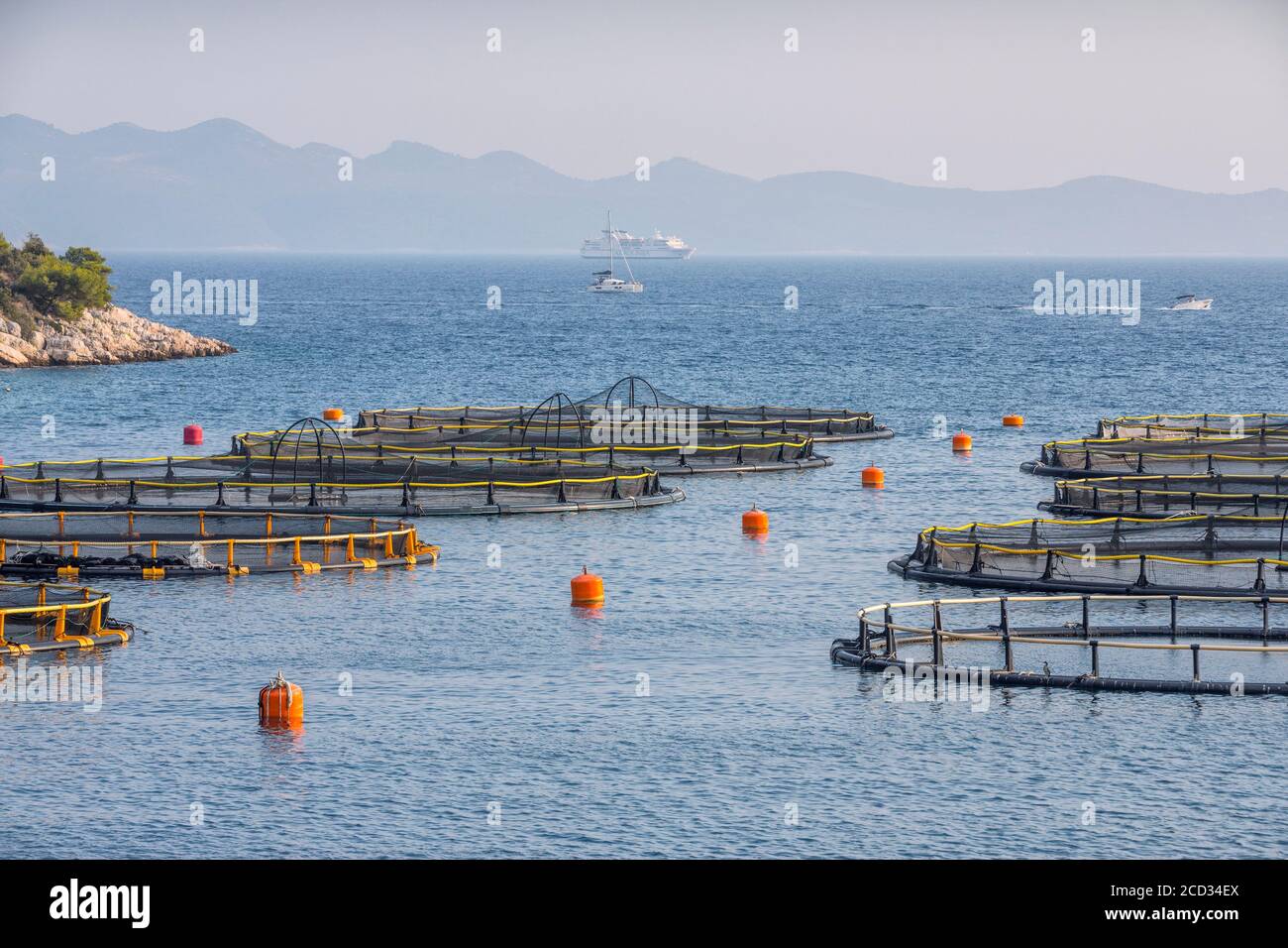Fish farm in Croatia Stock Photo - Alamy
