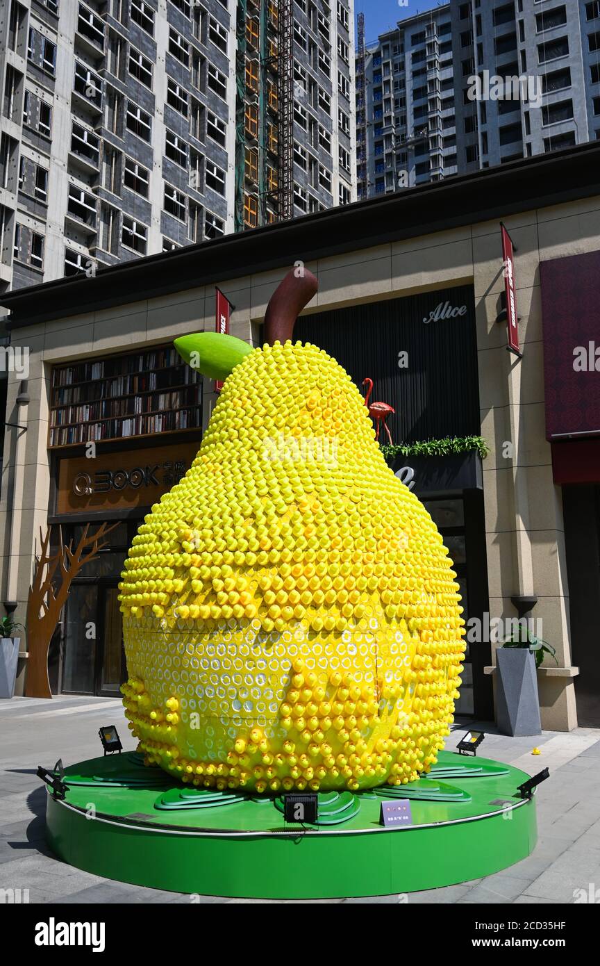 An enormous art installation made of 5000 yellow rubber ducks draws ...