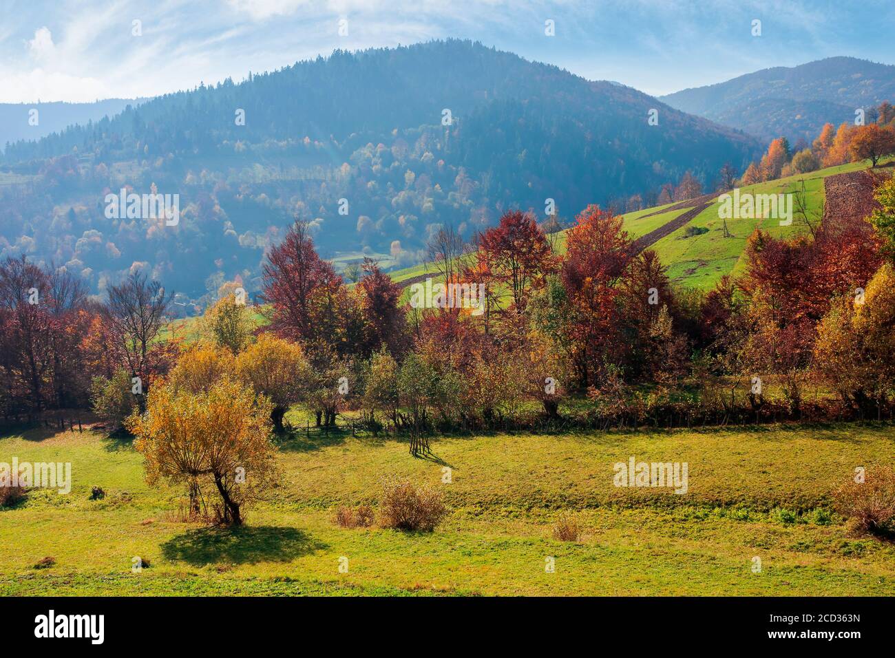 countryside autumn scene in mountains. trees in fall foliage. beautiful ...